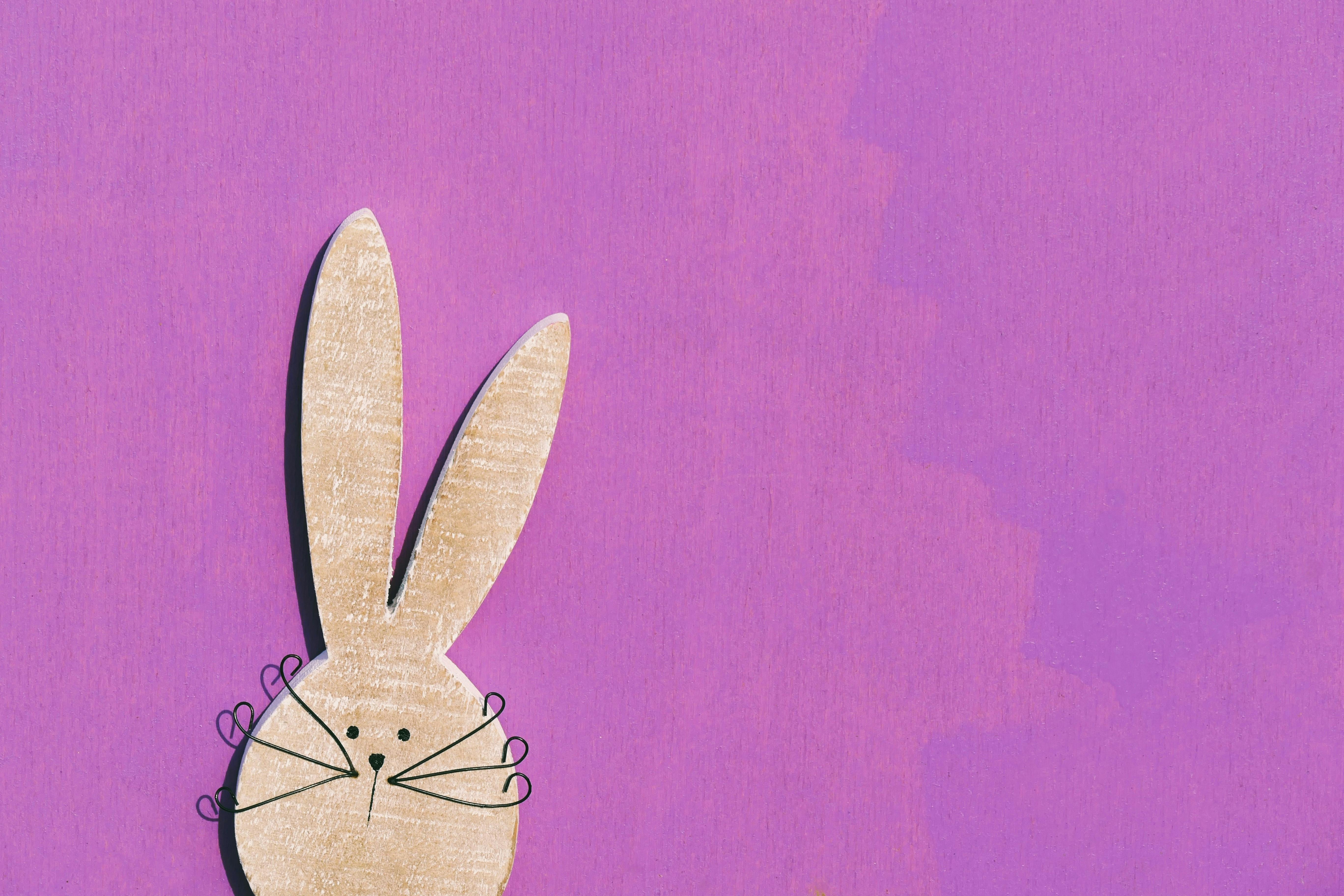 osterhase · Free Stock Photo