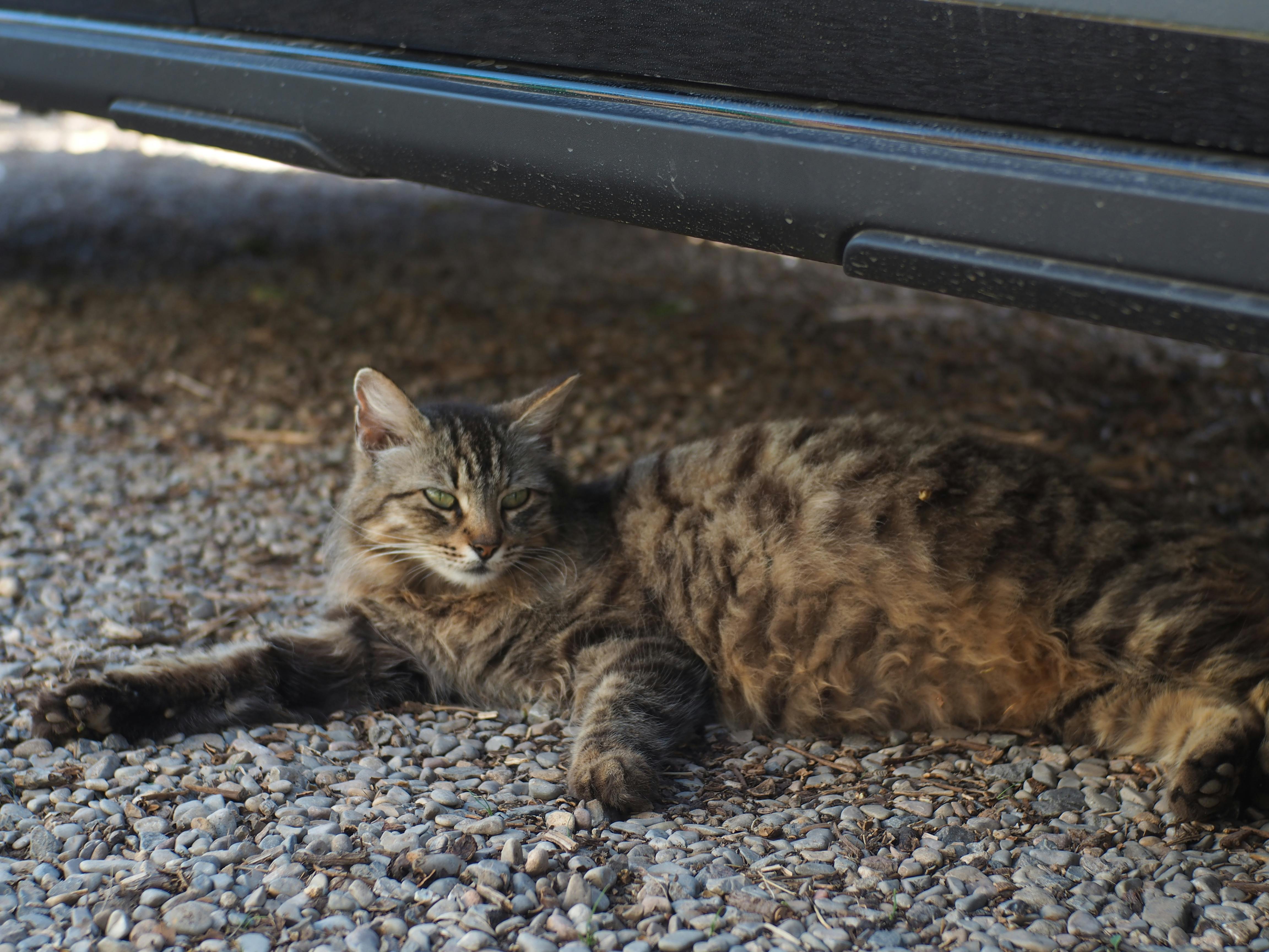 Maria Soler - Photographie