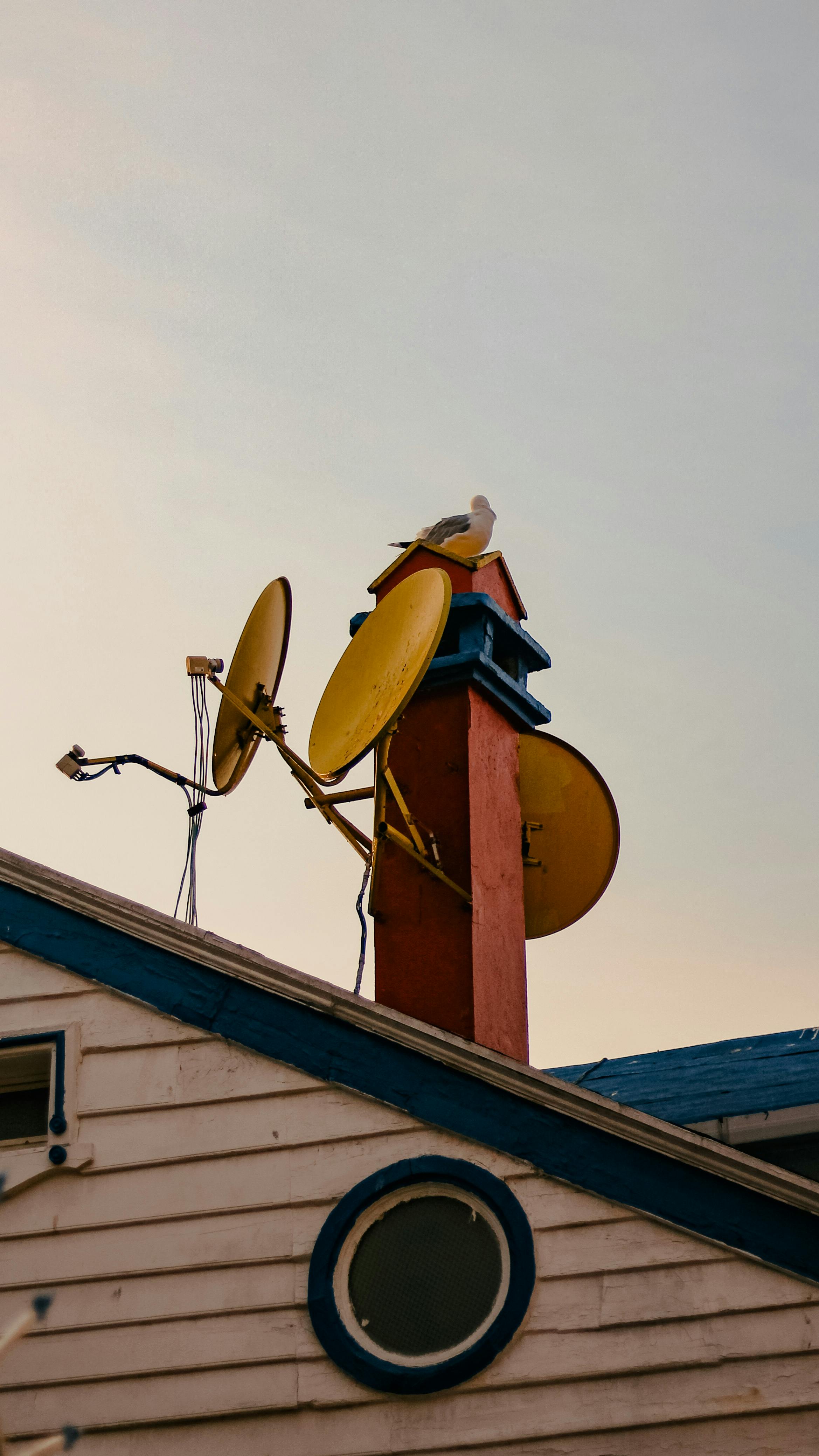 Leila Abboud - Fotografi