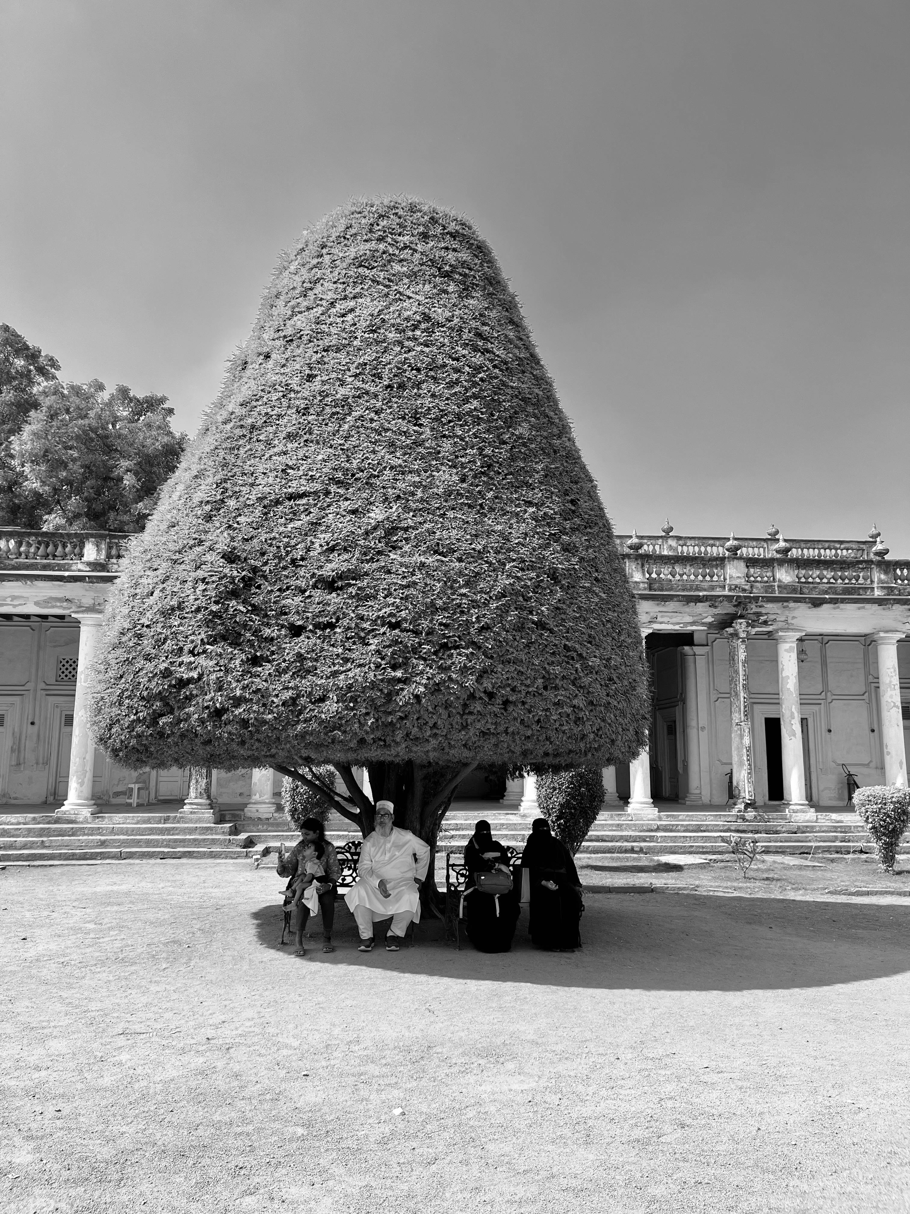 People Sitting under Tree in Village · Free Stock Photo