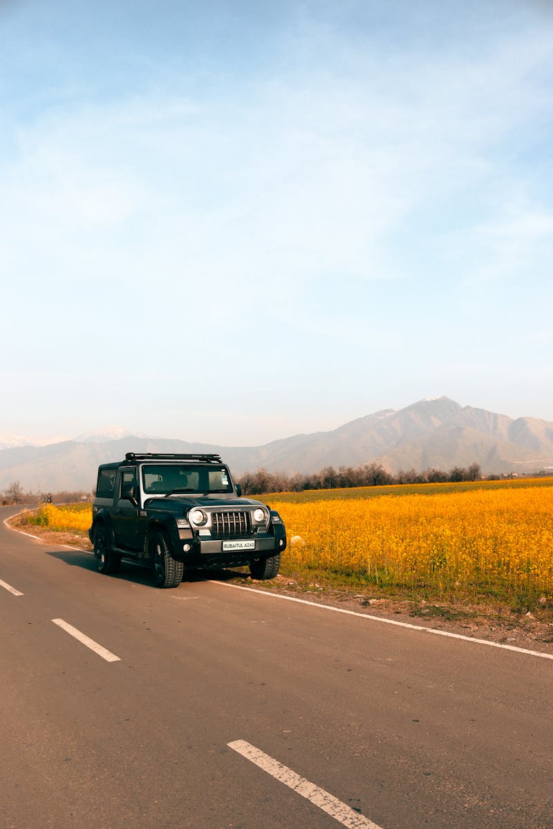 Thar Photos, Download The BEST Free Thar Stock Photos & HD Images