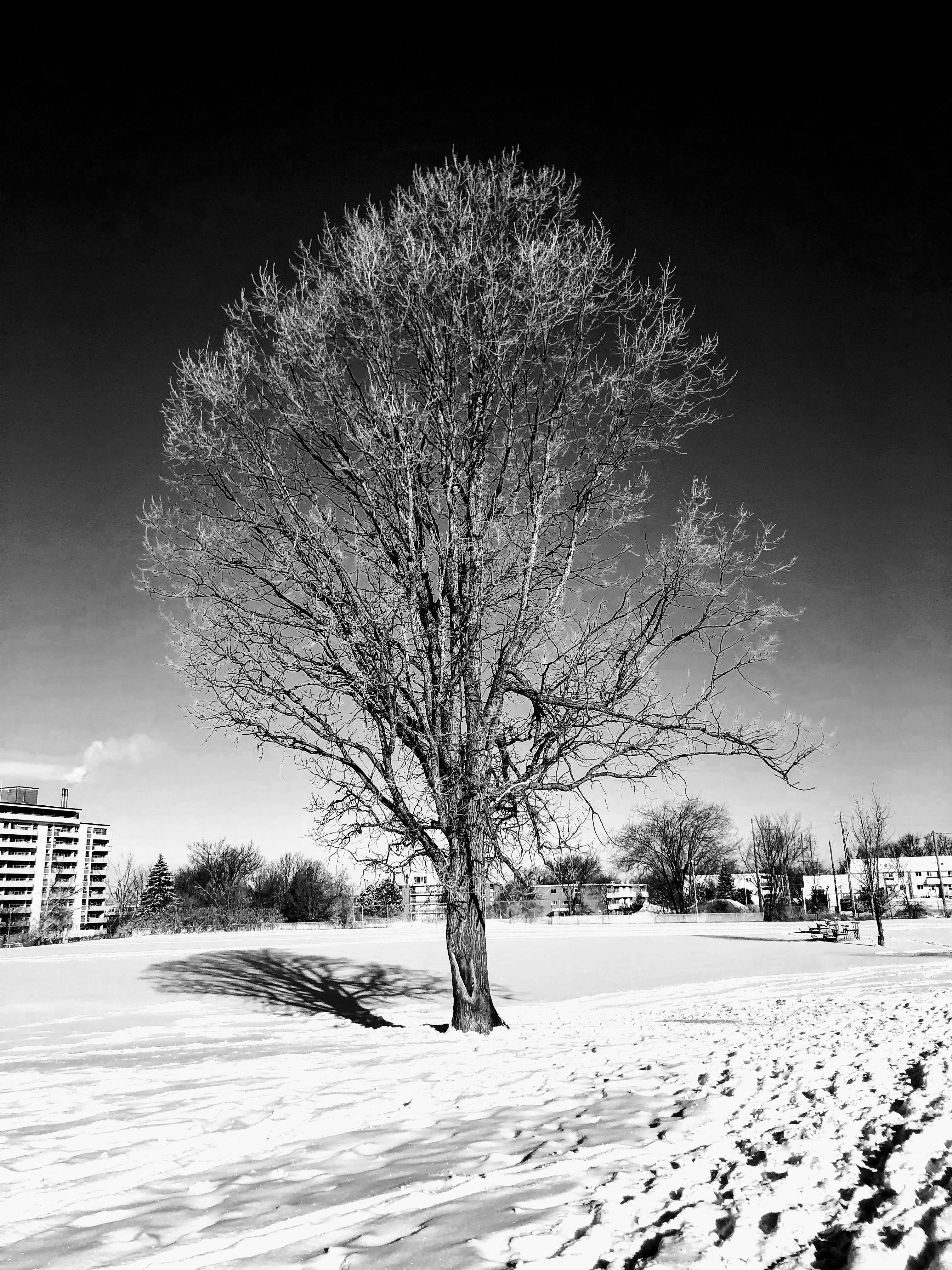 Photos by ERRN - Photography