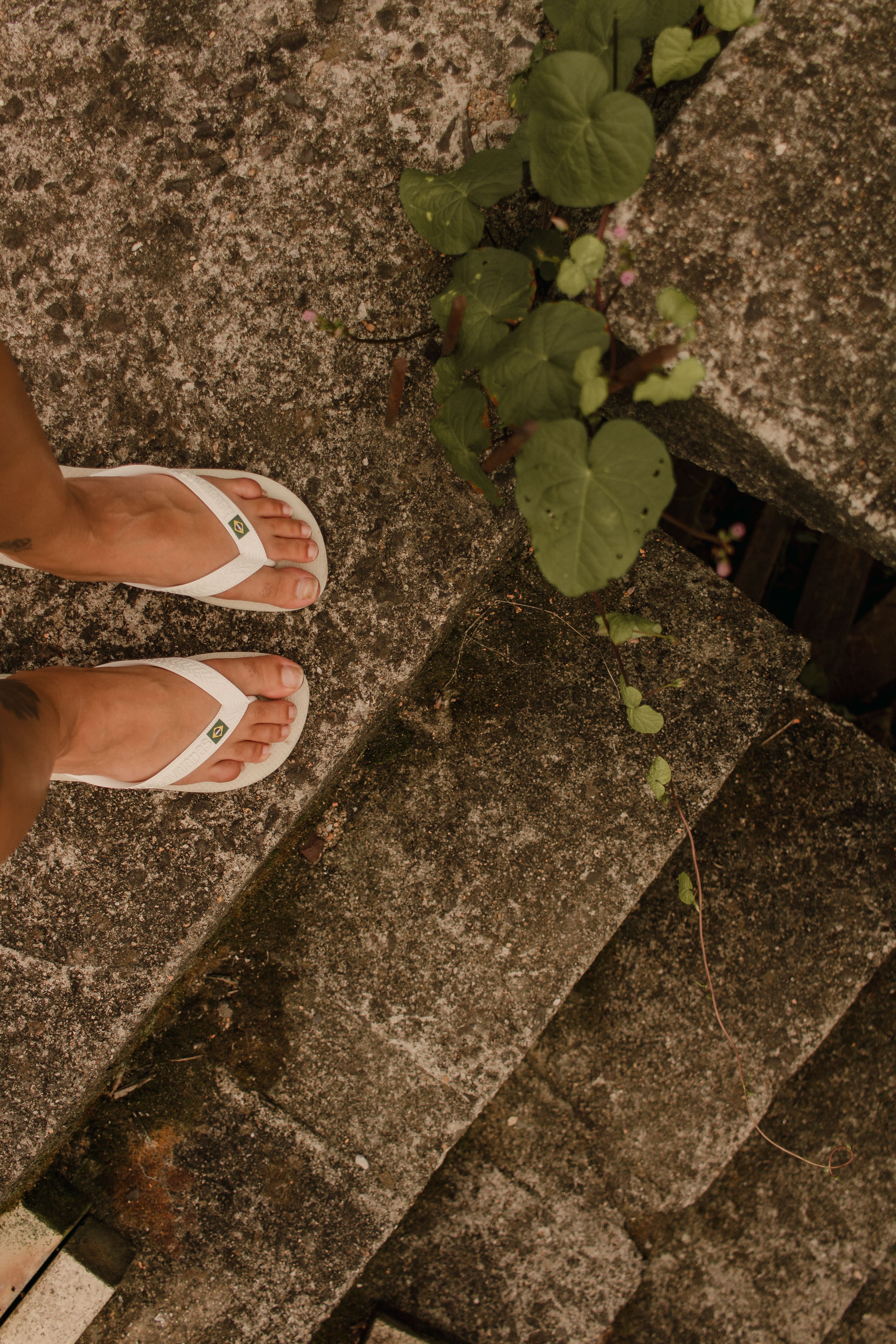 Foto de stock gratuita sobre chancletas, de pie, hormigón, pasos, patas ...