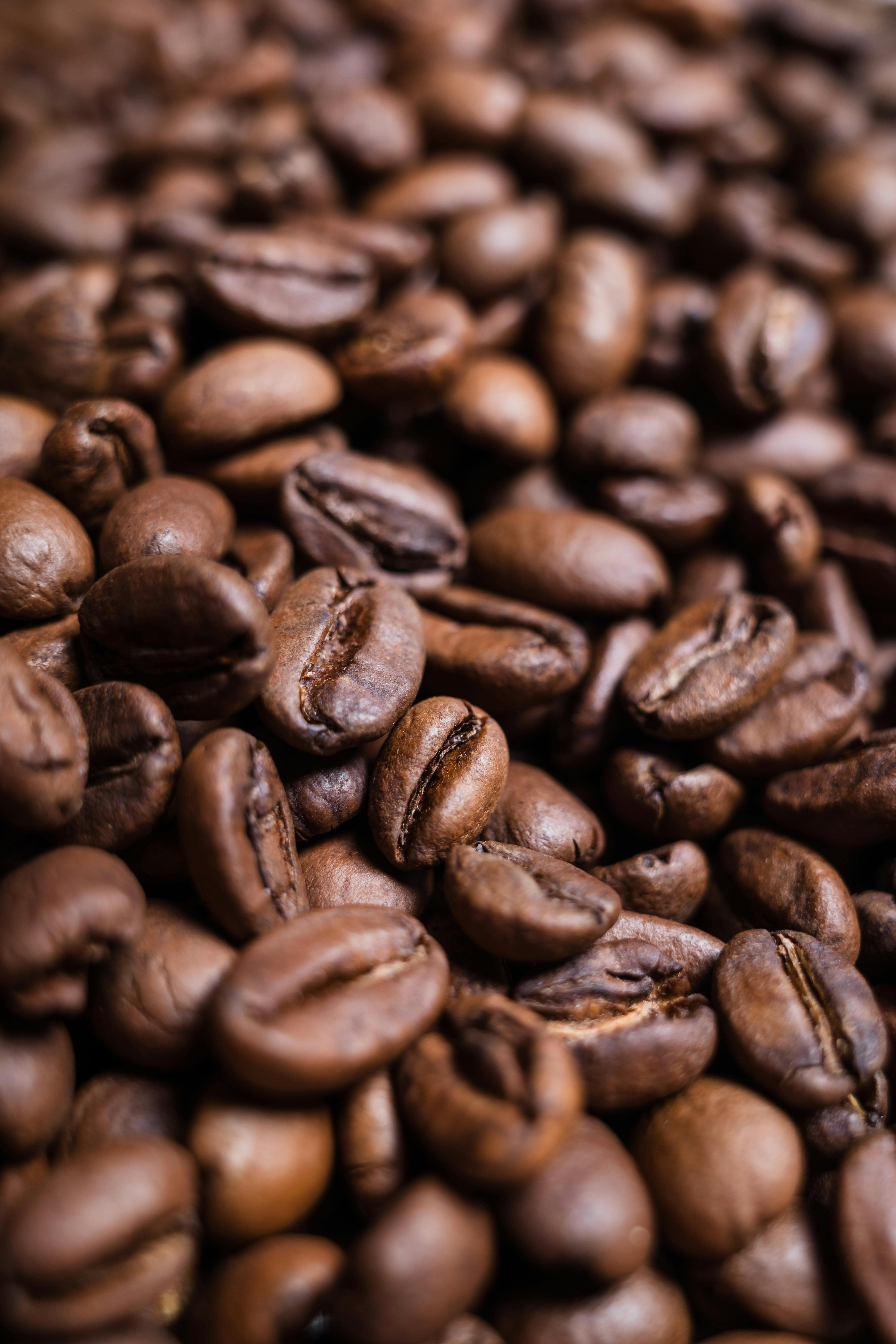 Exploring Different Coffee Varieties – Sacrament Coffee Co.