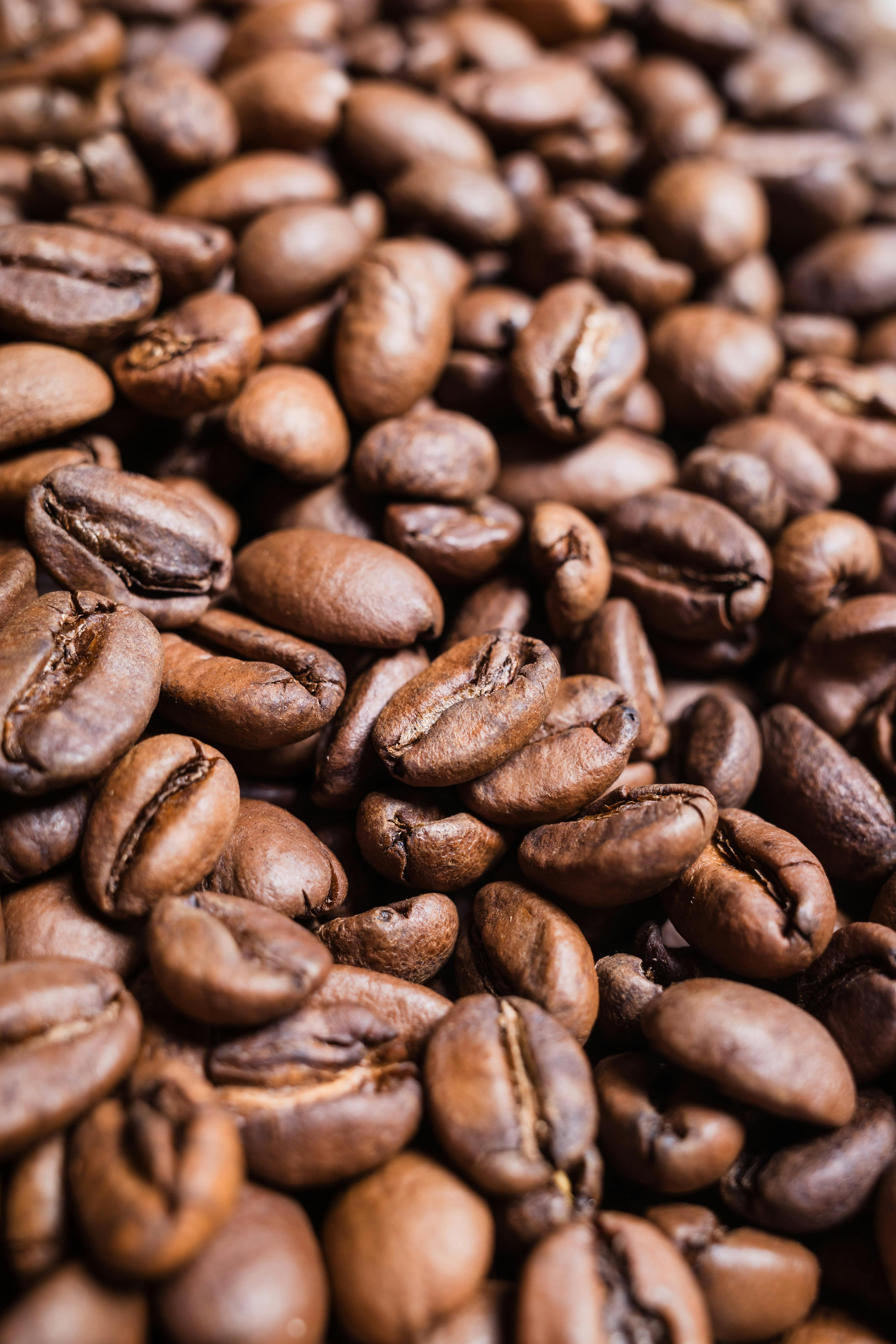 Coffee Beans in Close Up Photography · Free Stock Photo