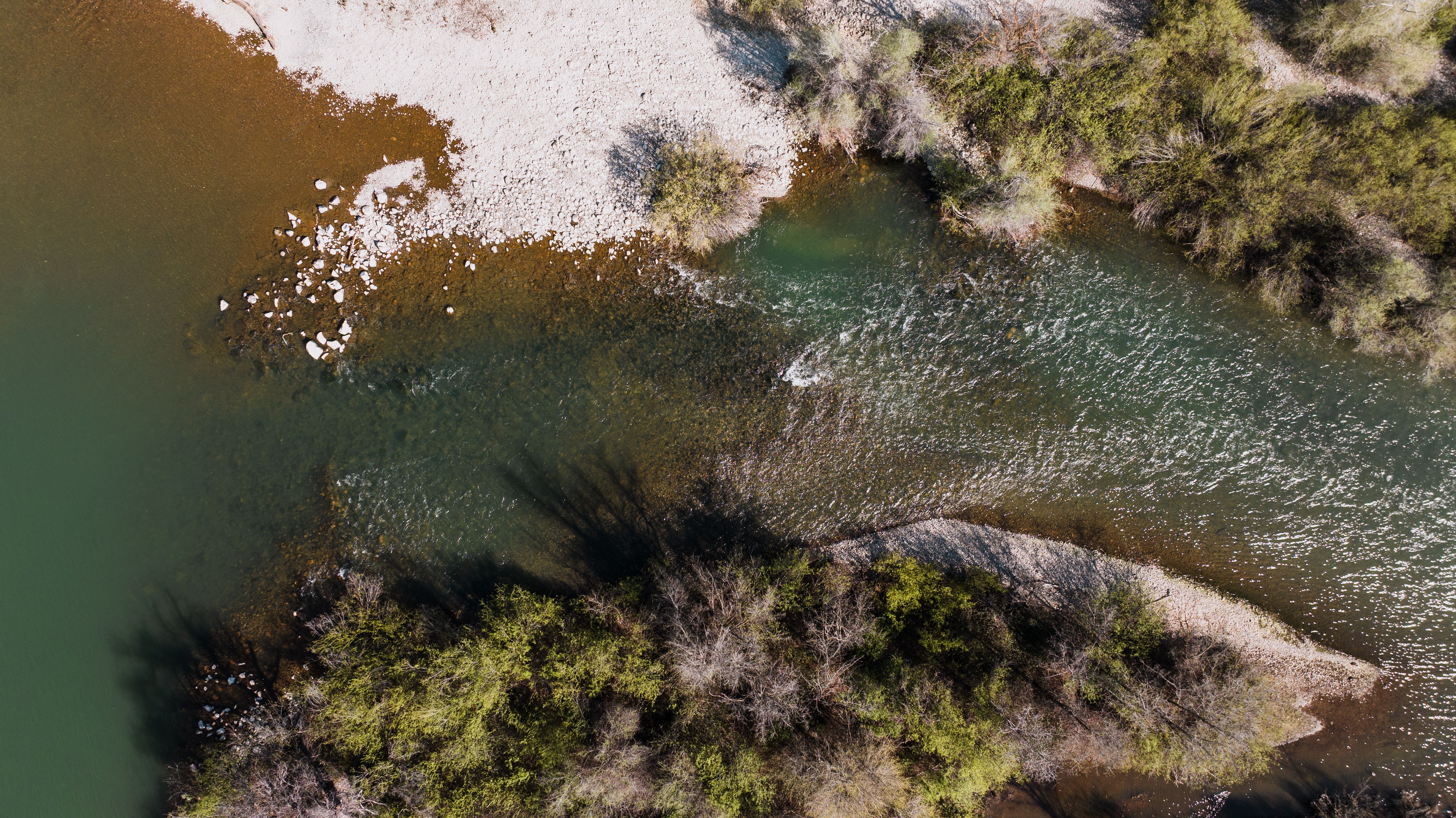 River Flowing to Sea · Free Stock Photo