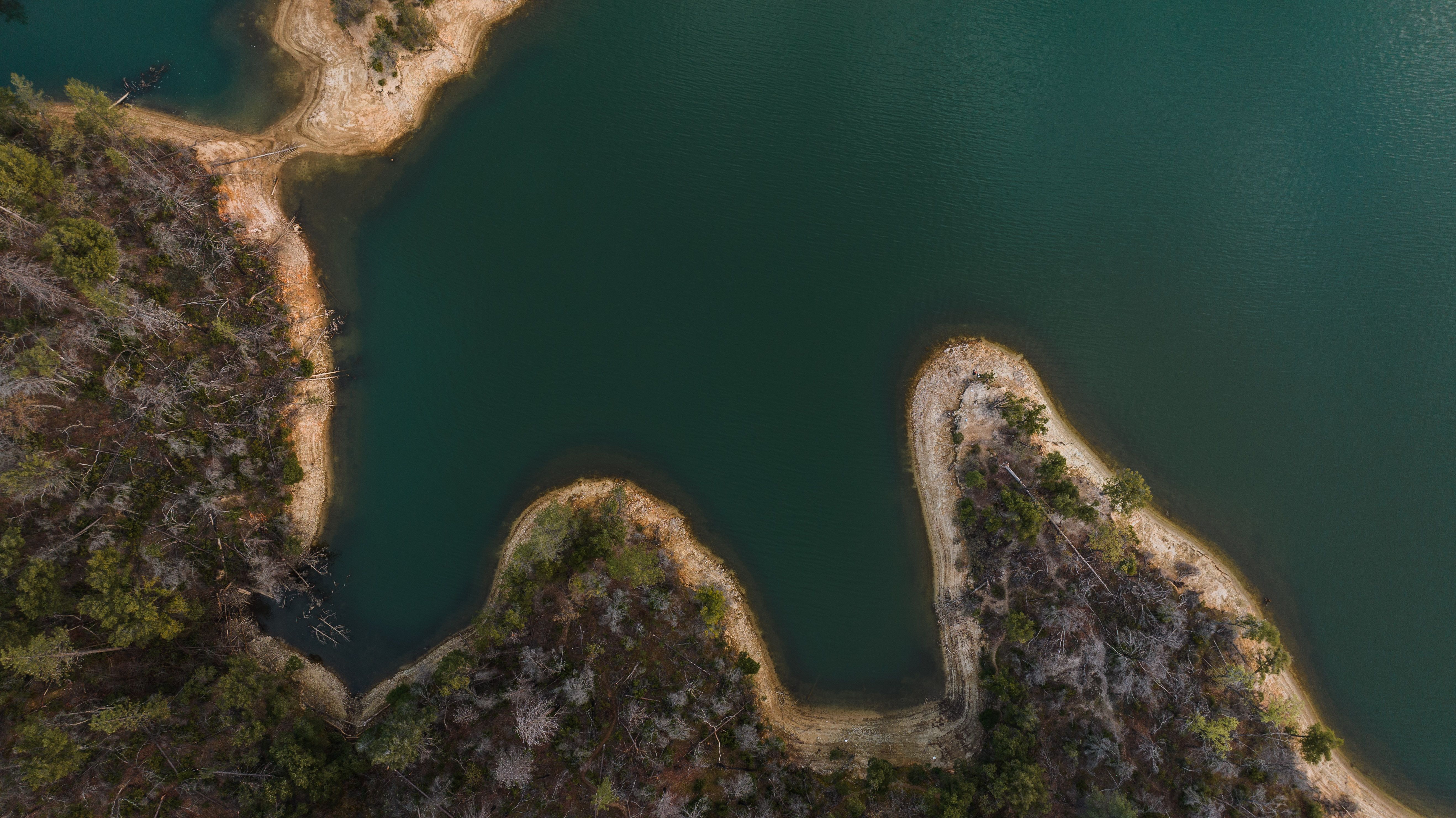 Top View of Lake and Forest · Free Stock Photo