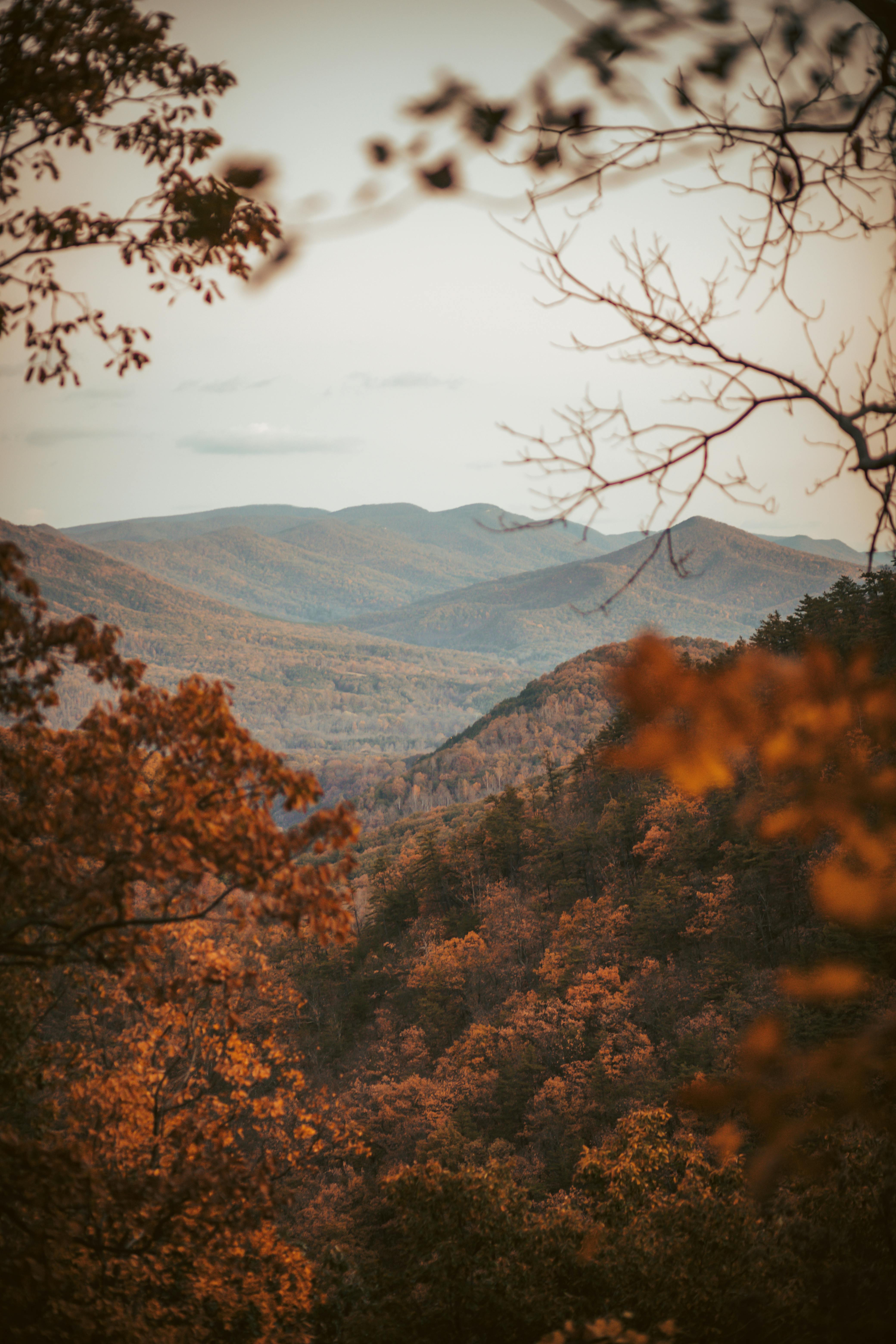 Fall Autumn Photos, Download The BEST Free Fall Autumn Stock Photos ...