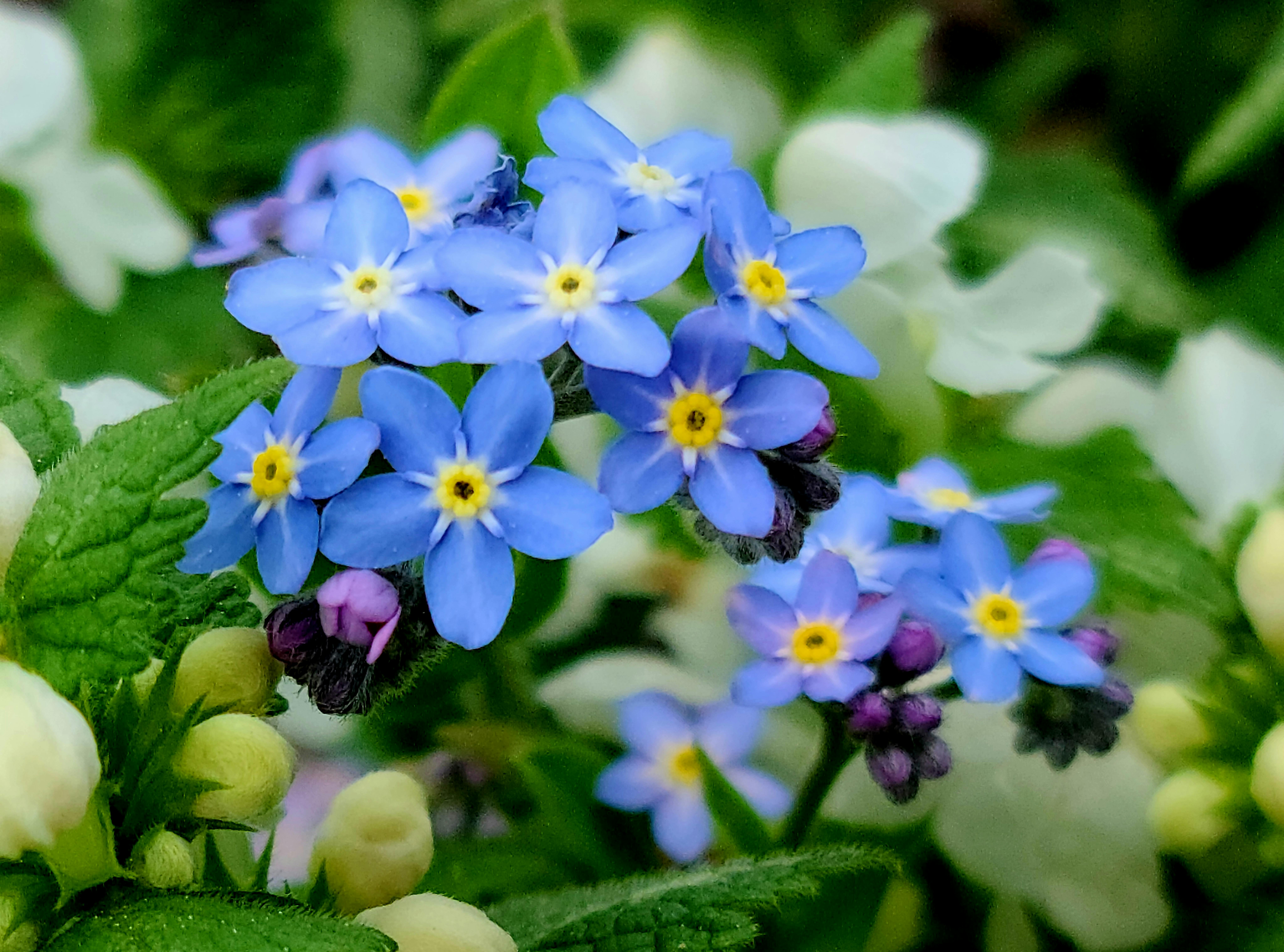 Bud Jenkins - 写真