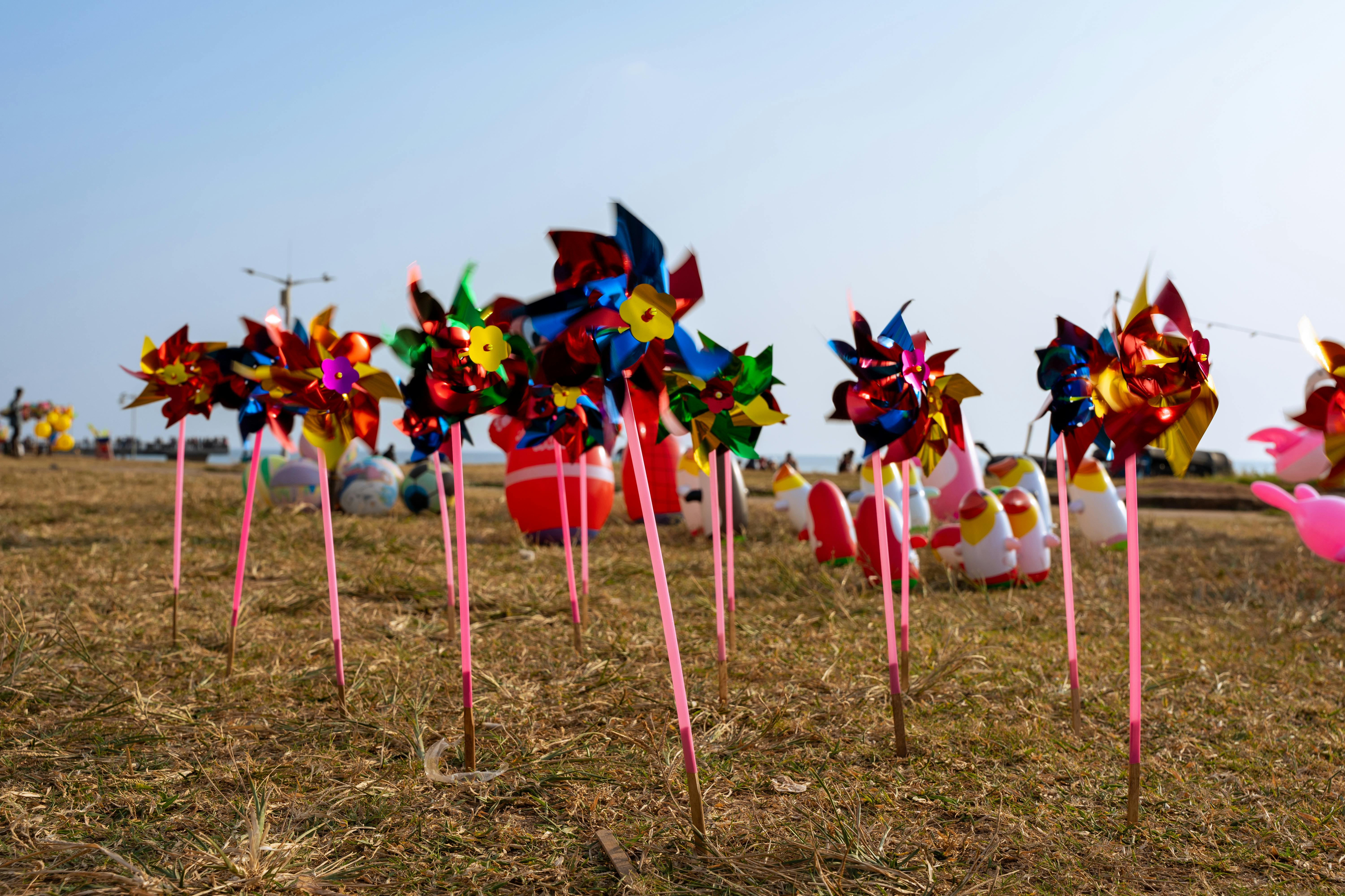 A field with many colorful pinwheels in it · Free Stock Photo