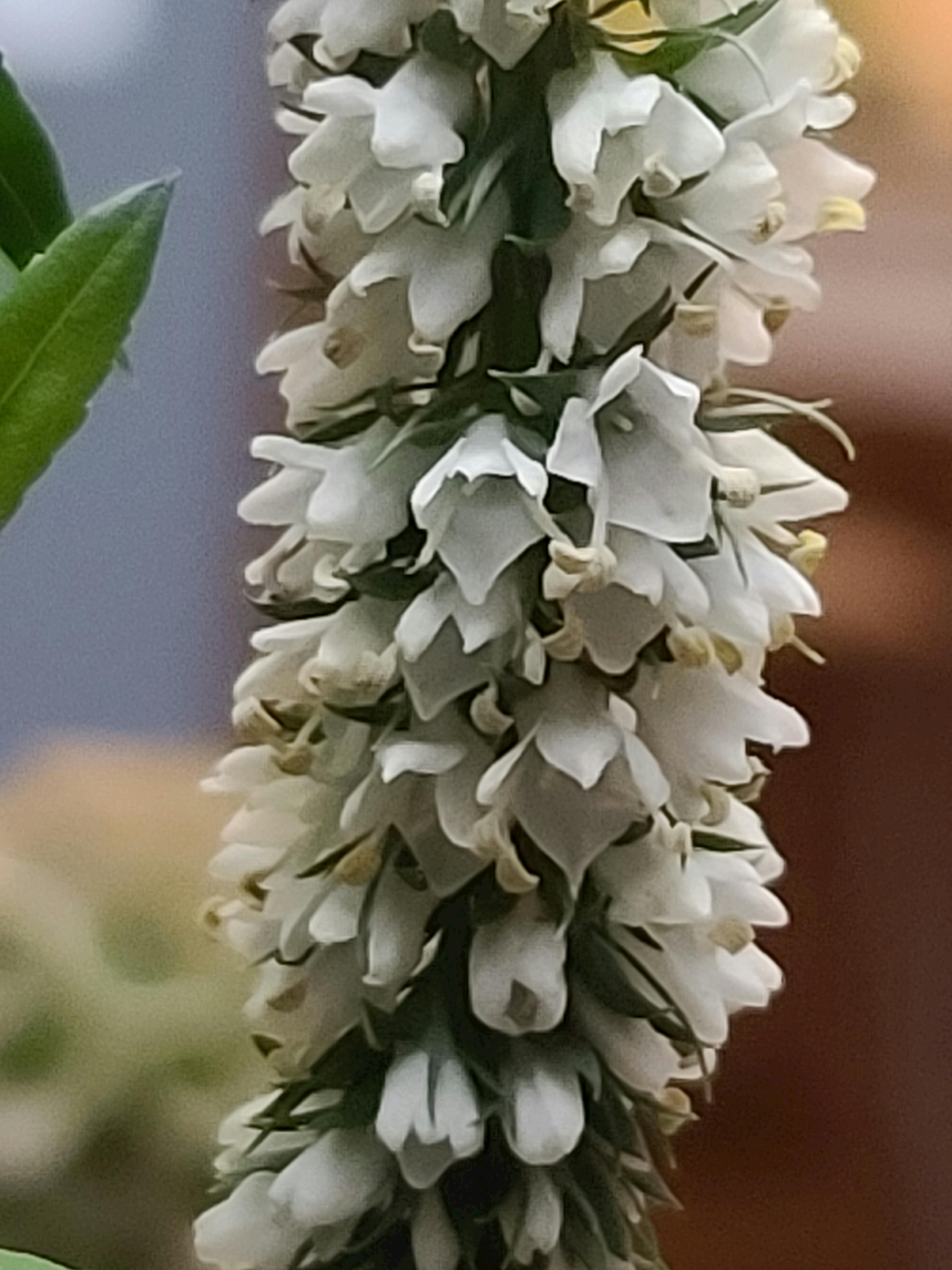 Bud Jenkins - 写真