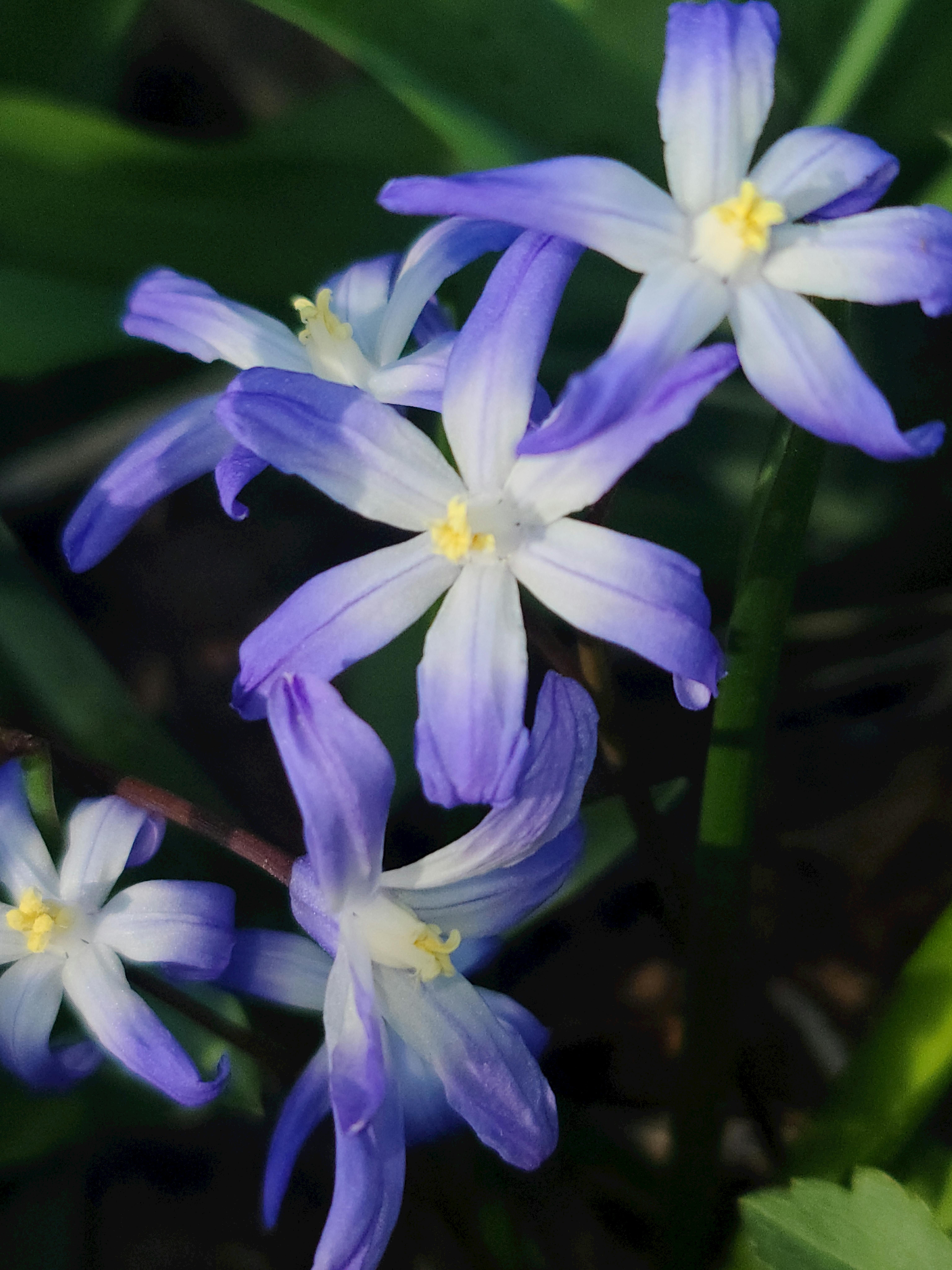 Bud Jenkins - 写真