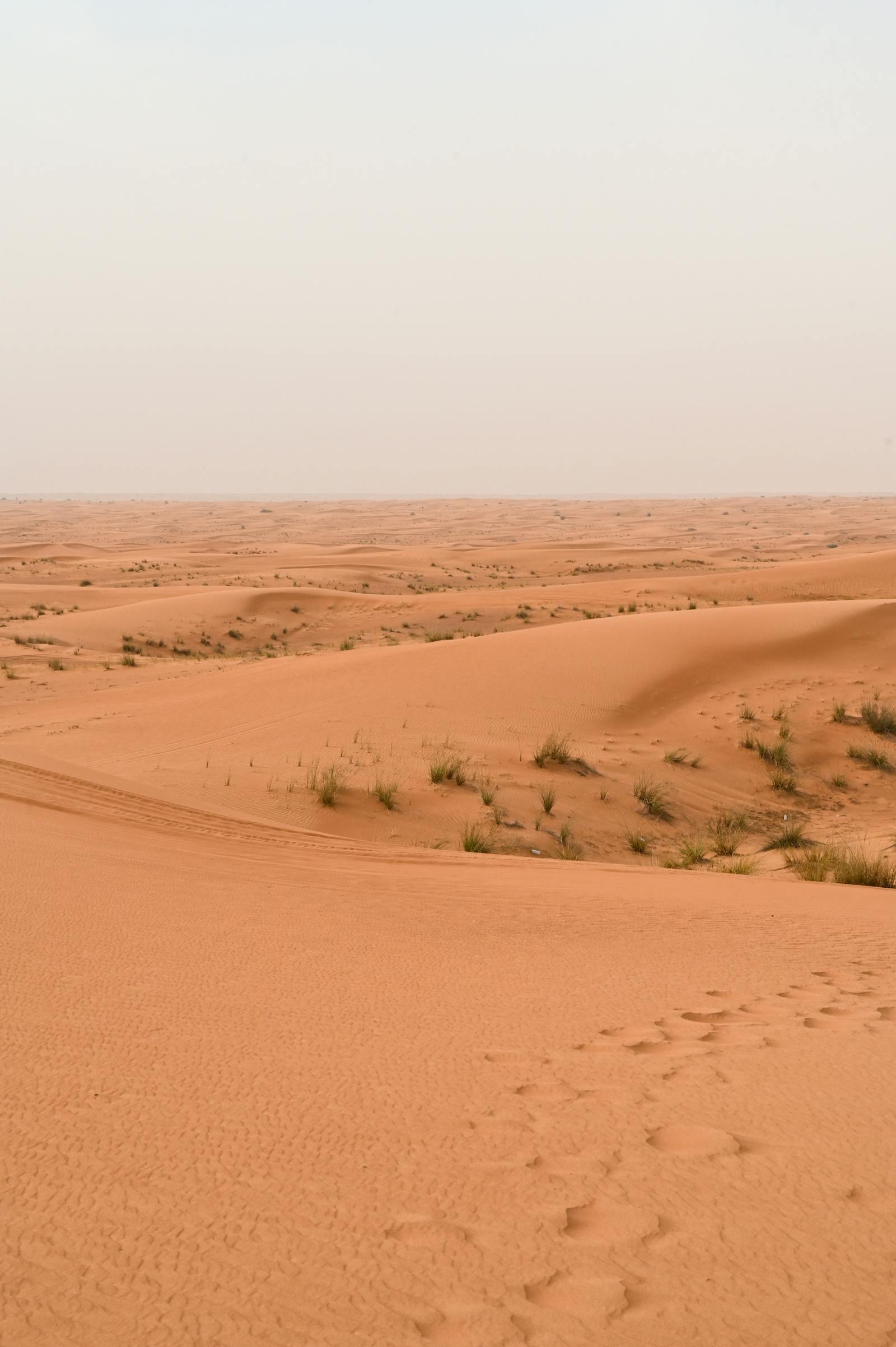 Desert Dunes Photos, Download The BEST Free Desert Dunes Stock Photos ...