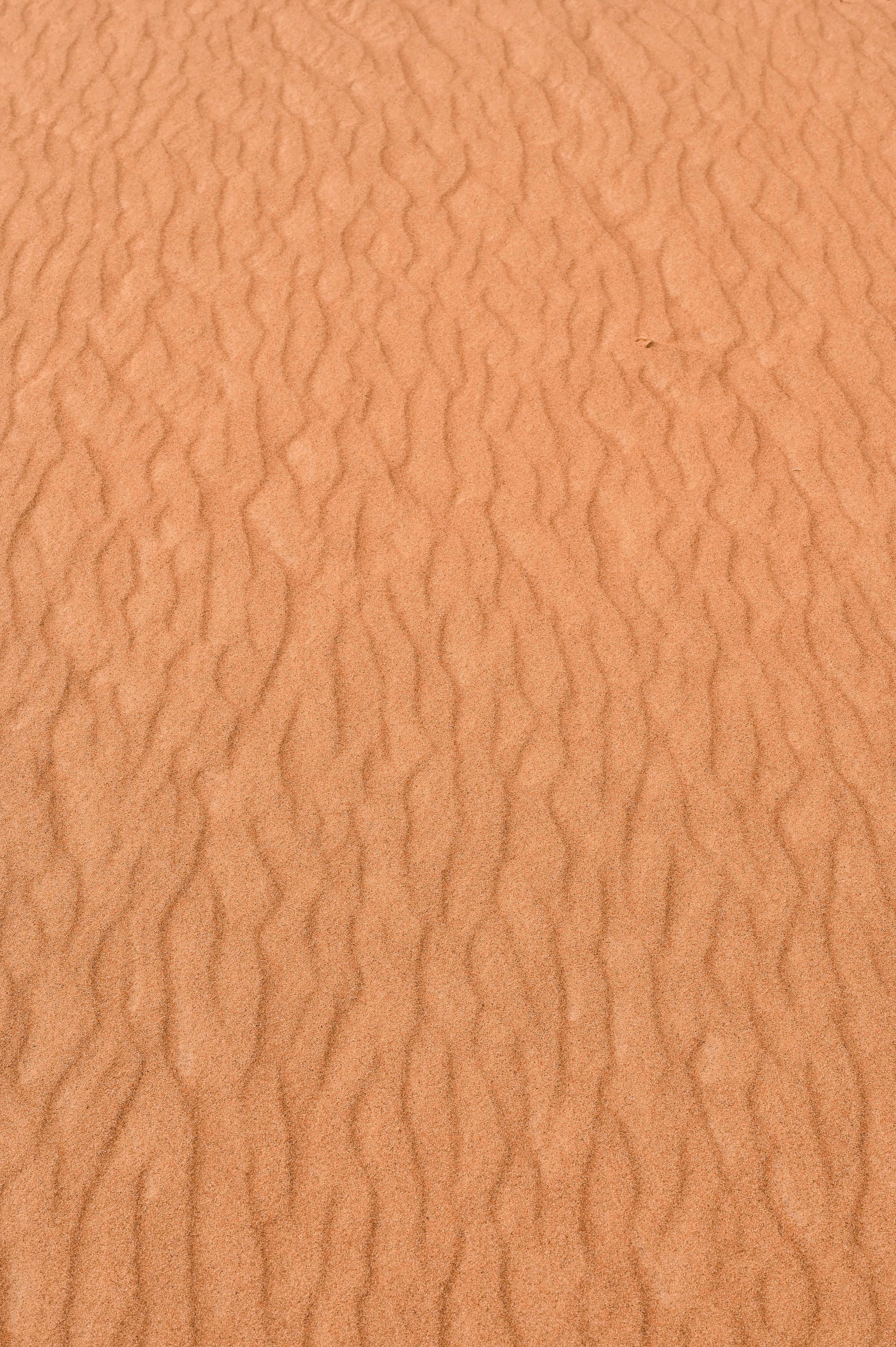 Textured sandy surface in desert · Free Stock Photo