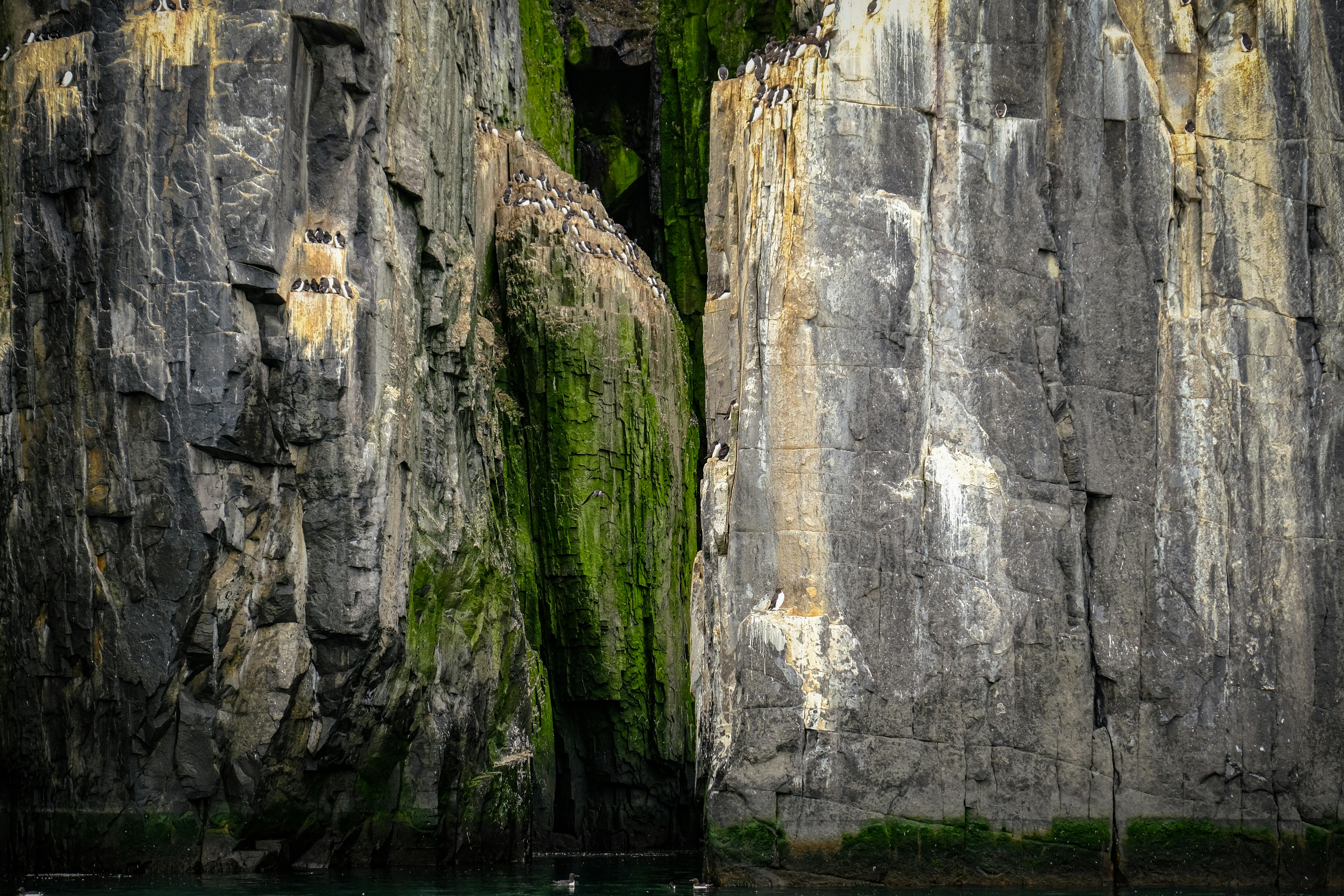 Hard Textured Cliffs with Moss · Free Stock Photo