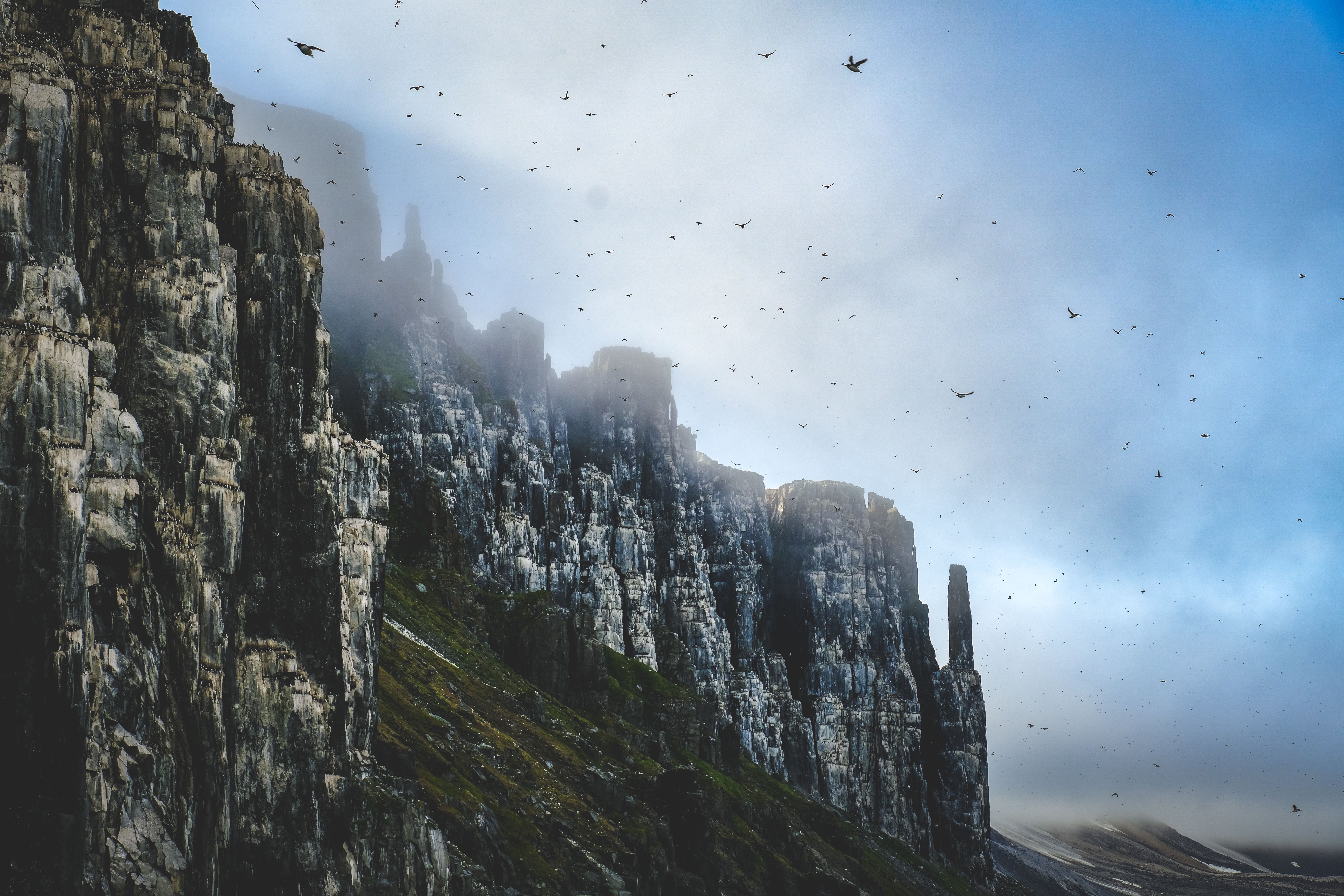 A bird flies over a cliff with a foggy sky · Free Stock Photo