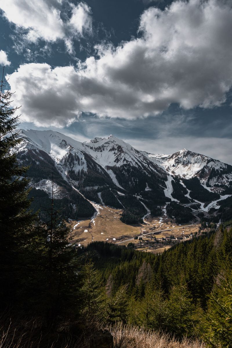 Snow Laden Trees Photos, Download The BEST Free Snow Laden Trees Stock ...