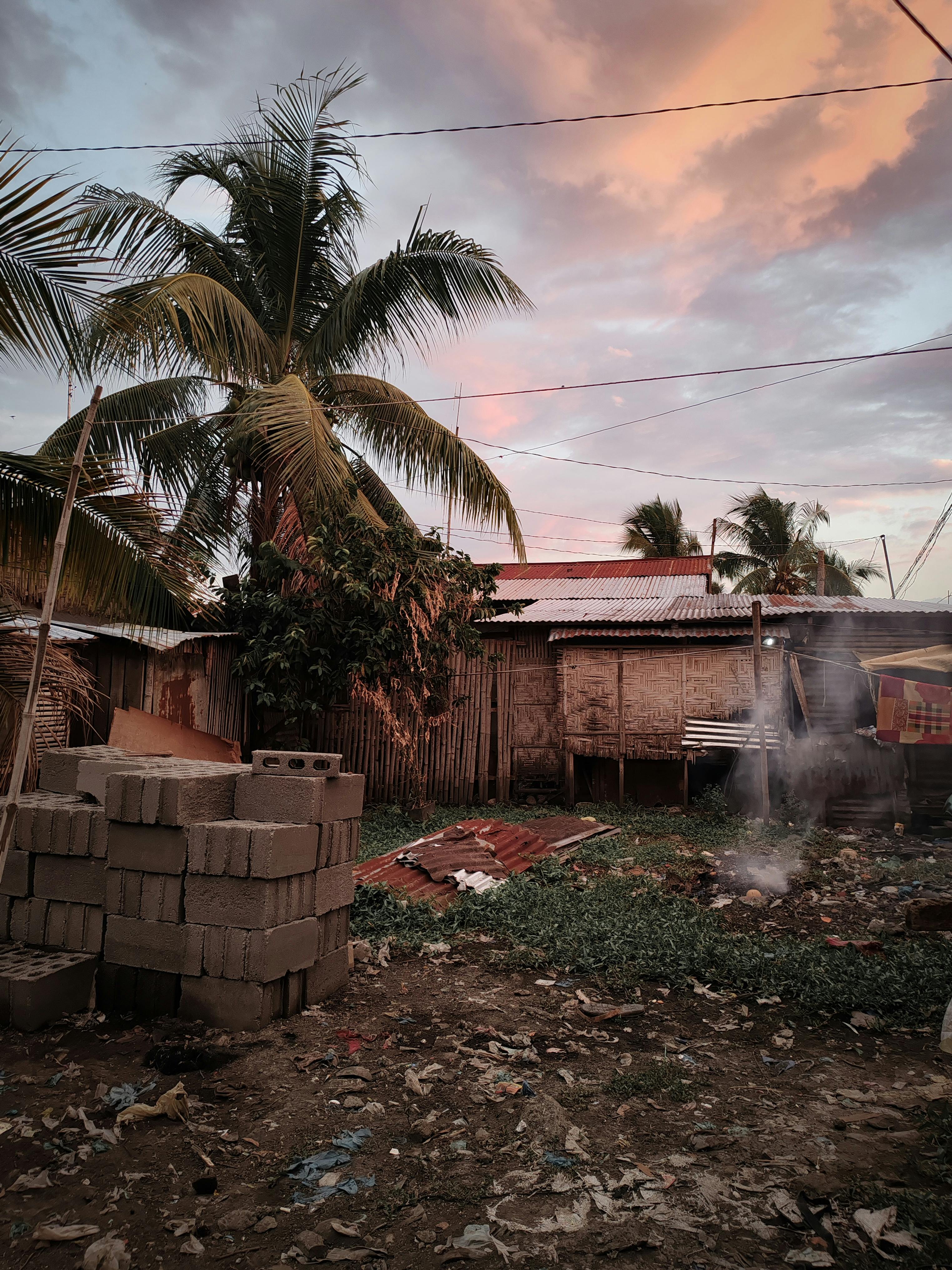 A.M. Dodo - Photography