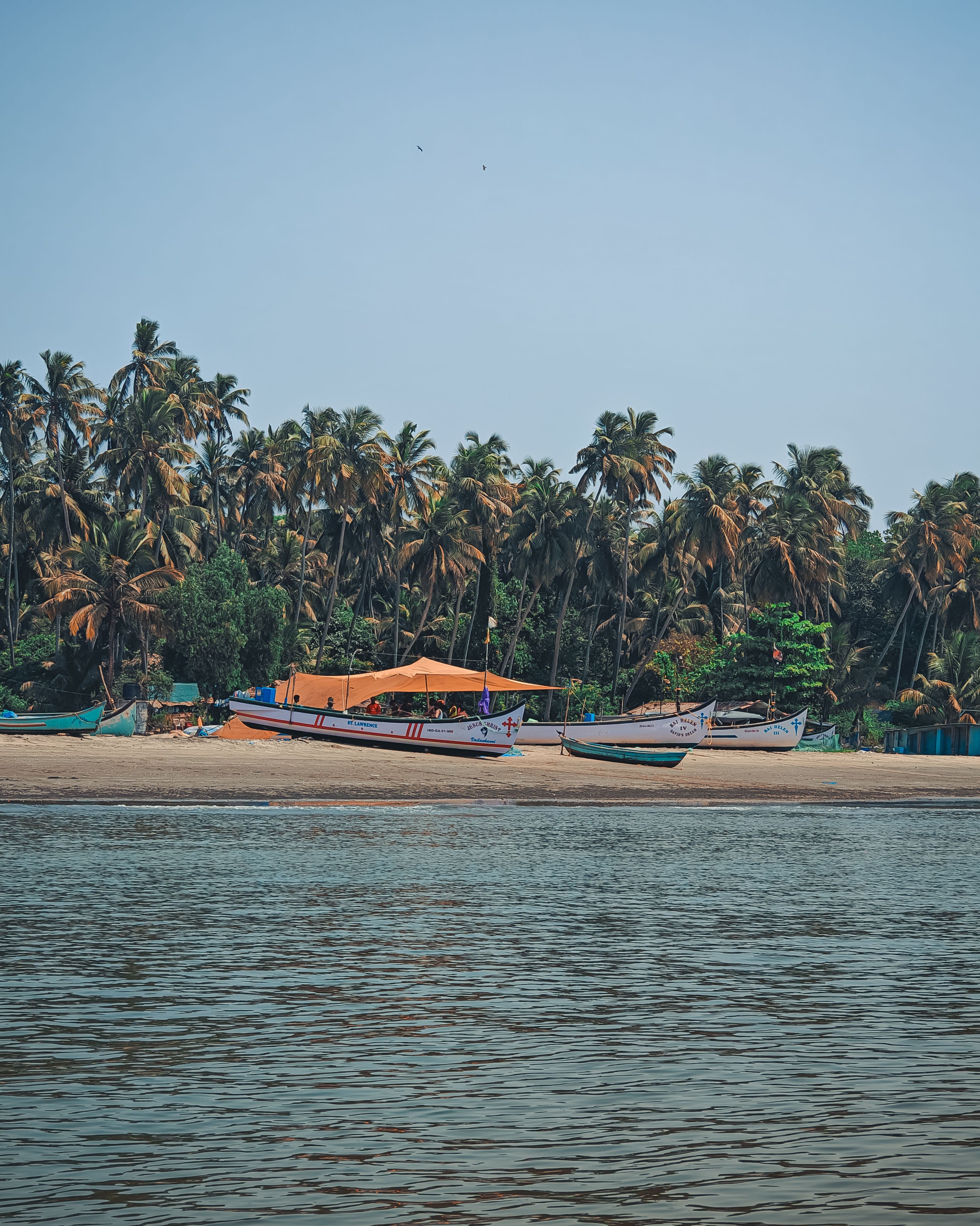 Boats on a Tropical Beach · Free Stock Photo