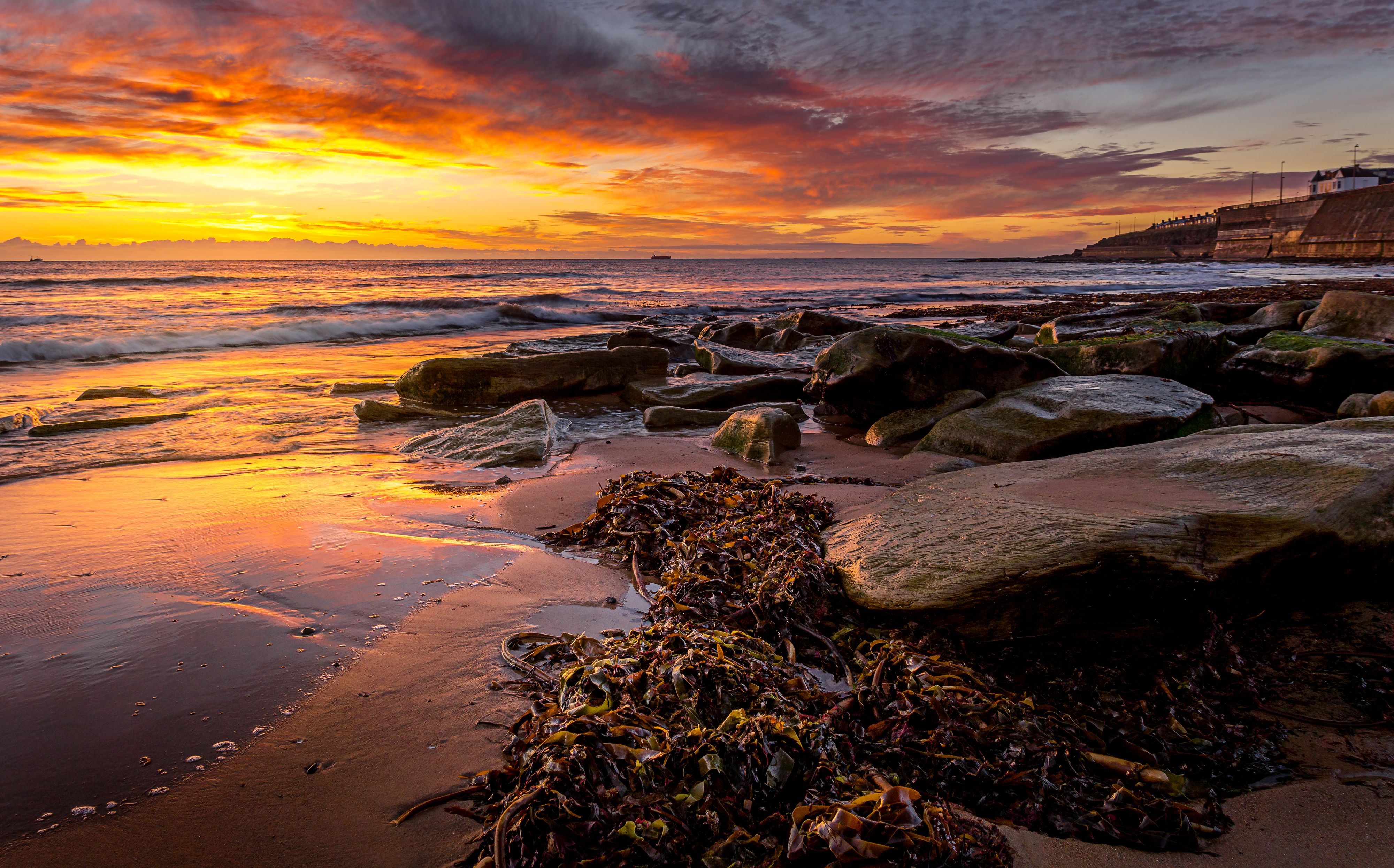 Rocks on Beach at Sunset · Free Stock Photo