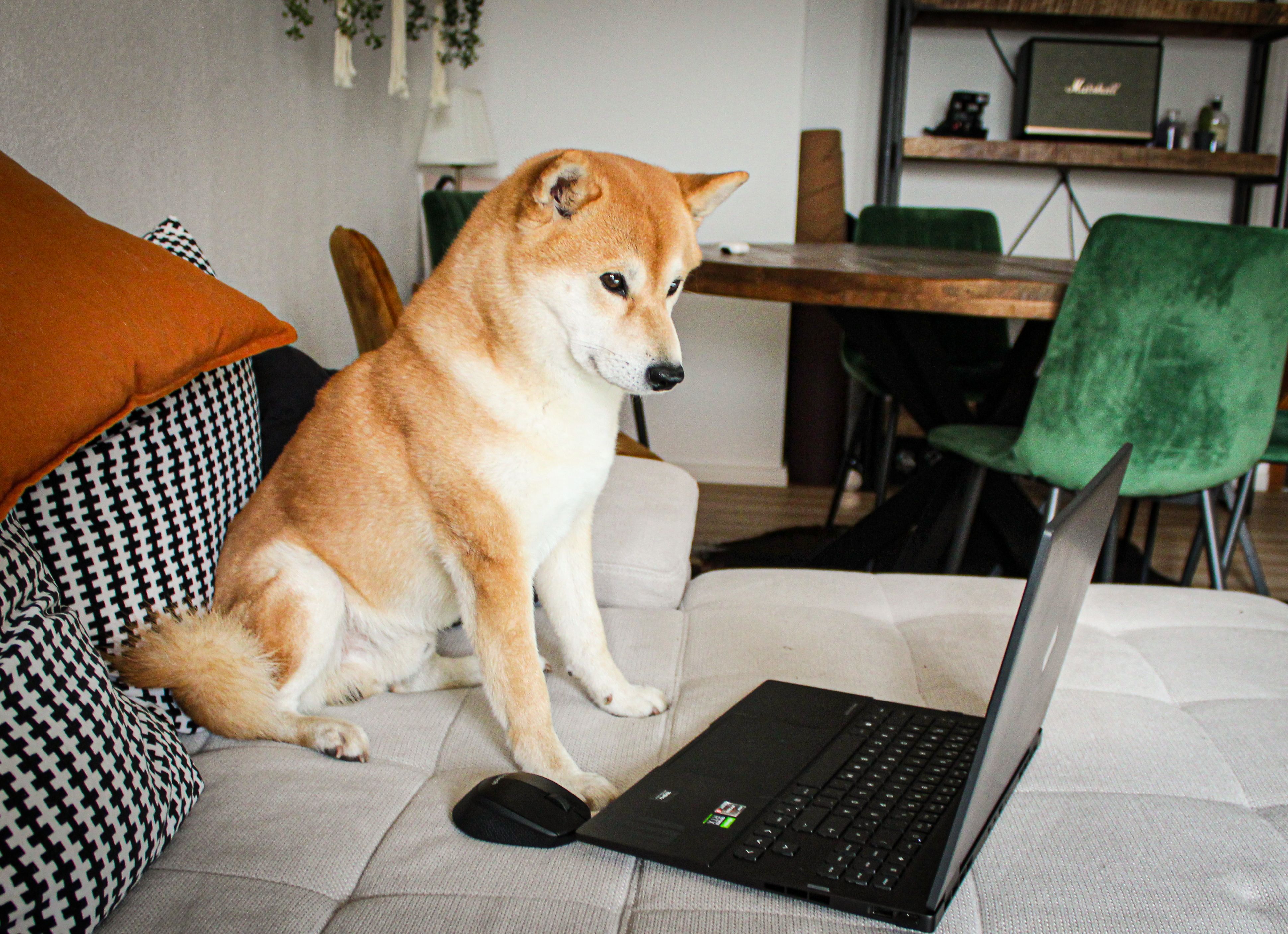 200.000+ Working With A Laptop Bilder und Fotos · Kostenlos Downloaden ...