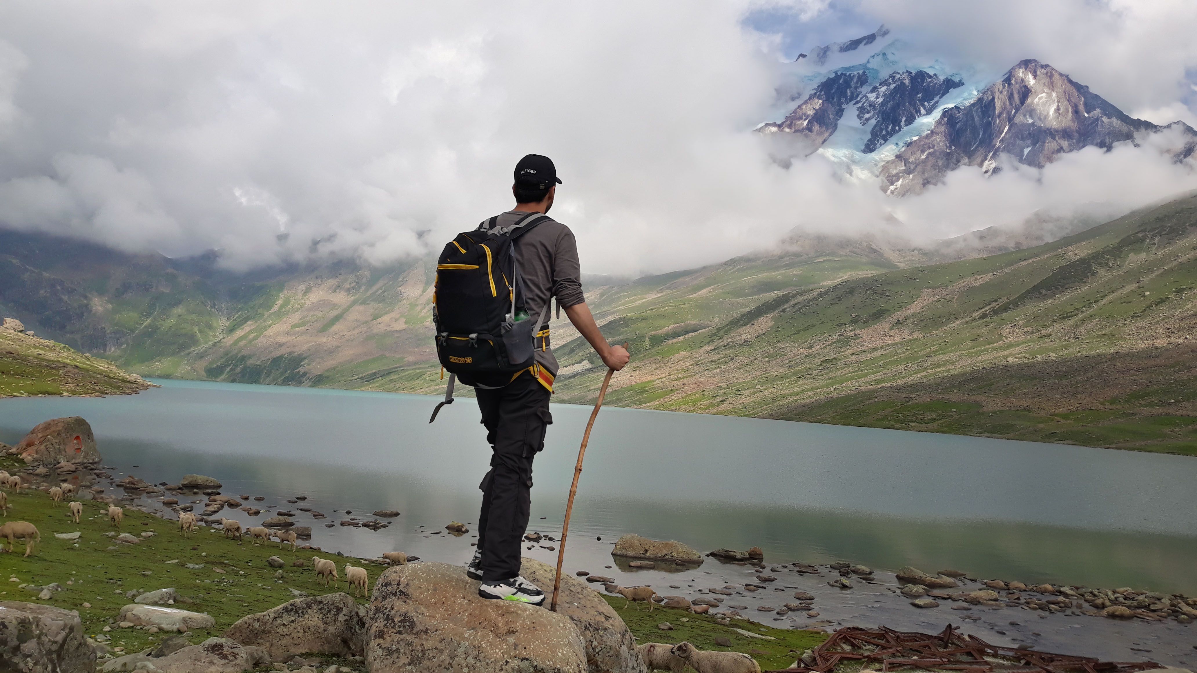 Wandering Photos, Download The BEST Free Wandering Stock Photos & HD Images