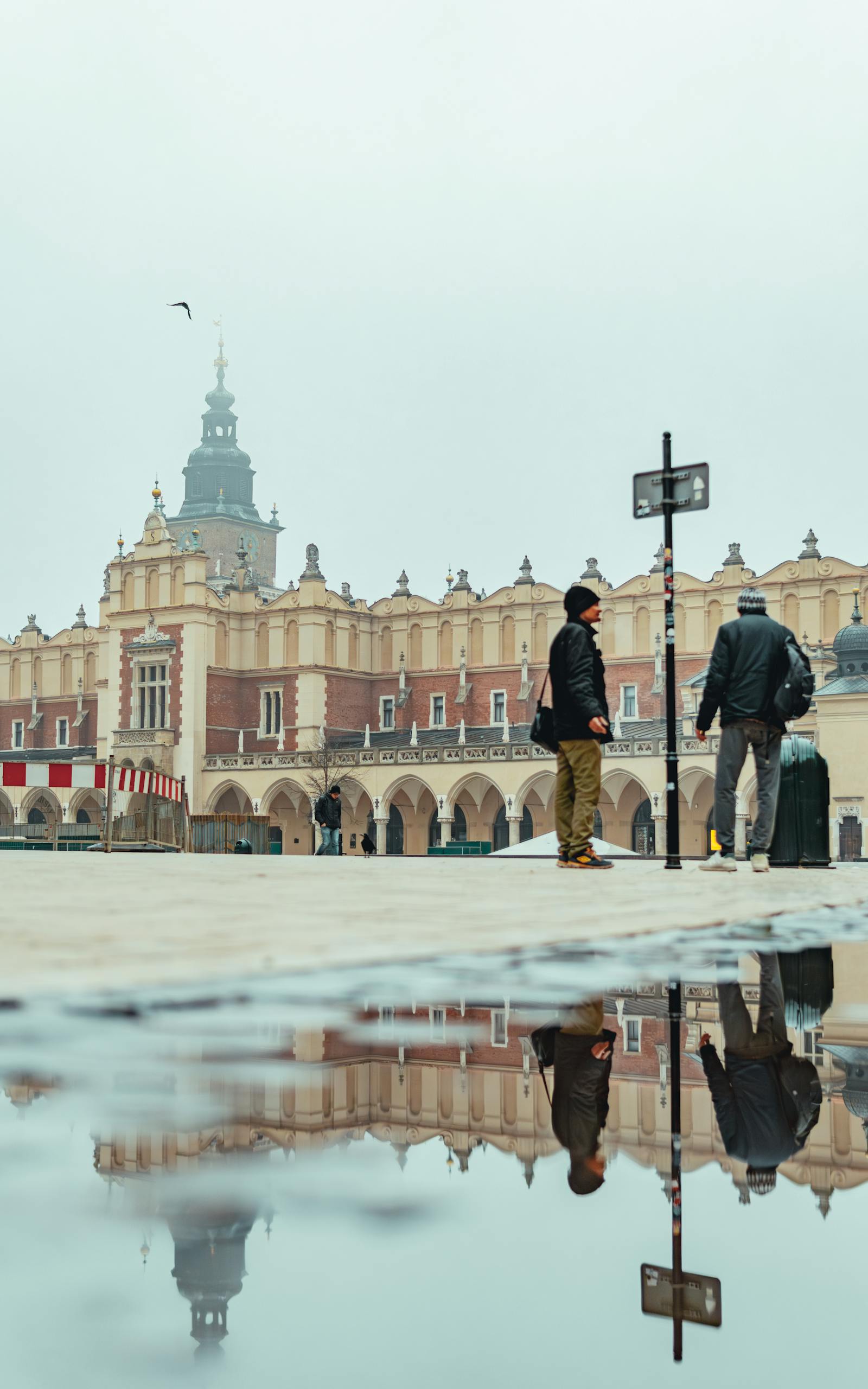 Reflecting Photos, Download The BEST Free Reflecting Stock Photos & HD ...