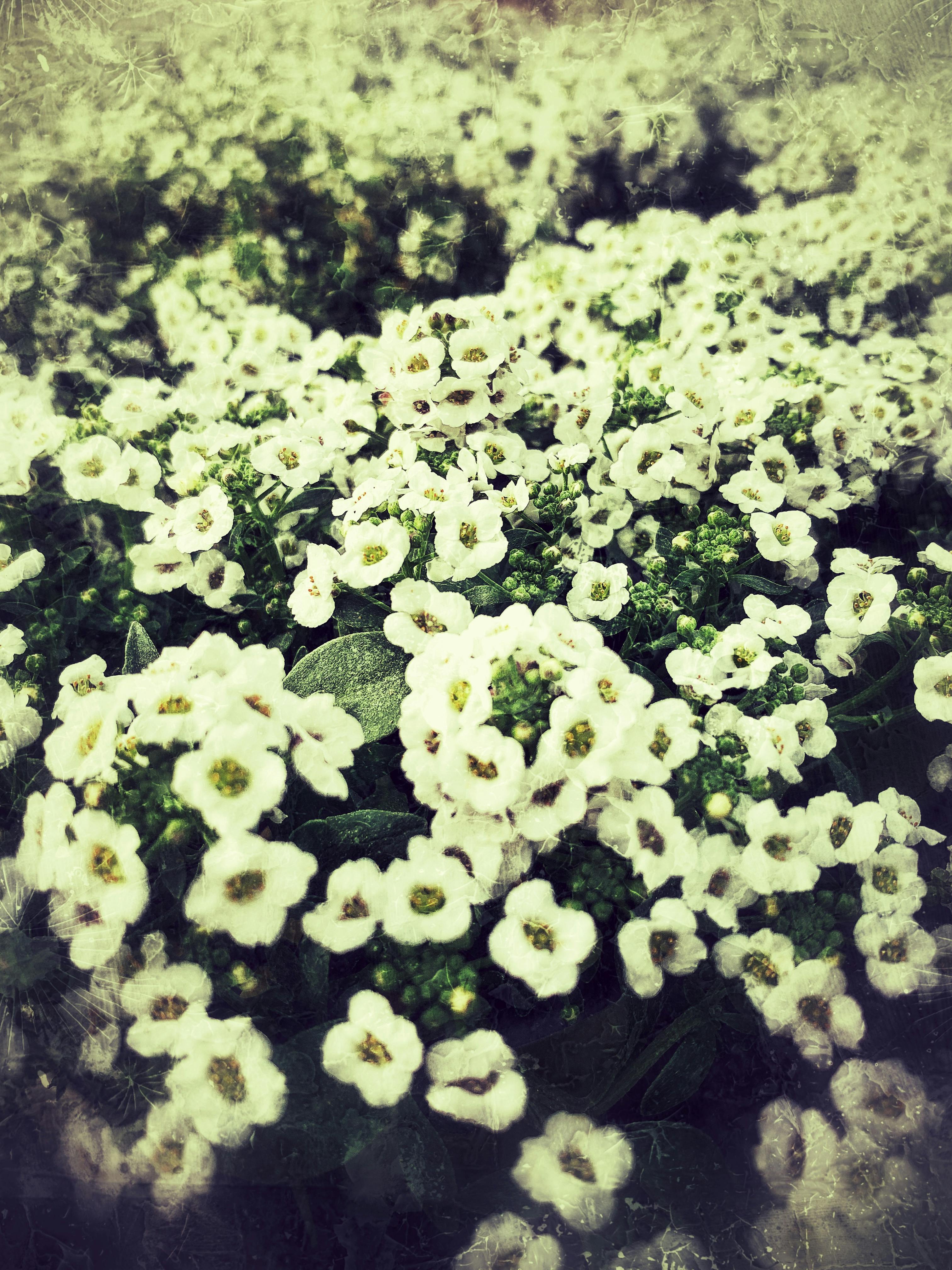 CESAR CASANOVA - Photography