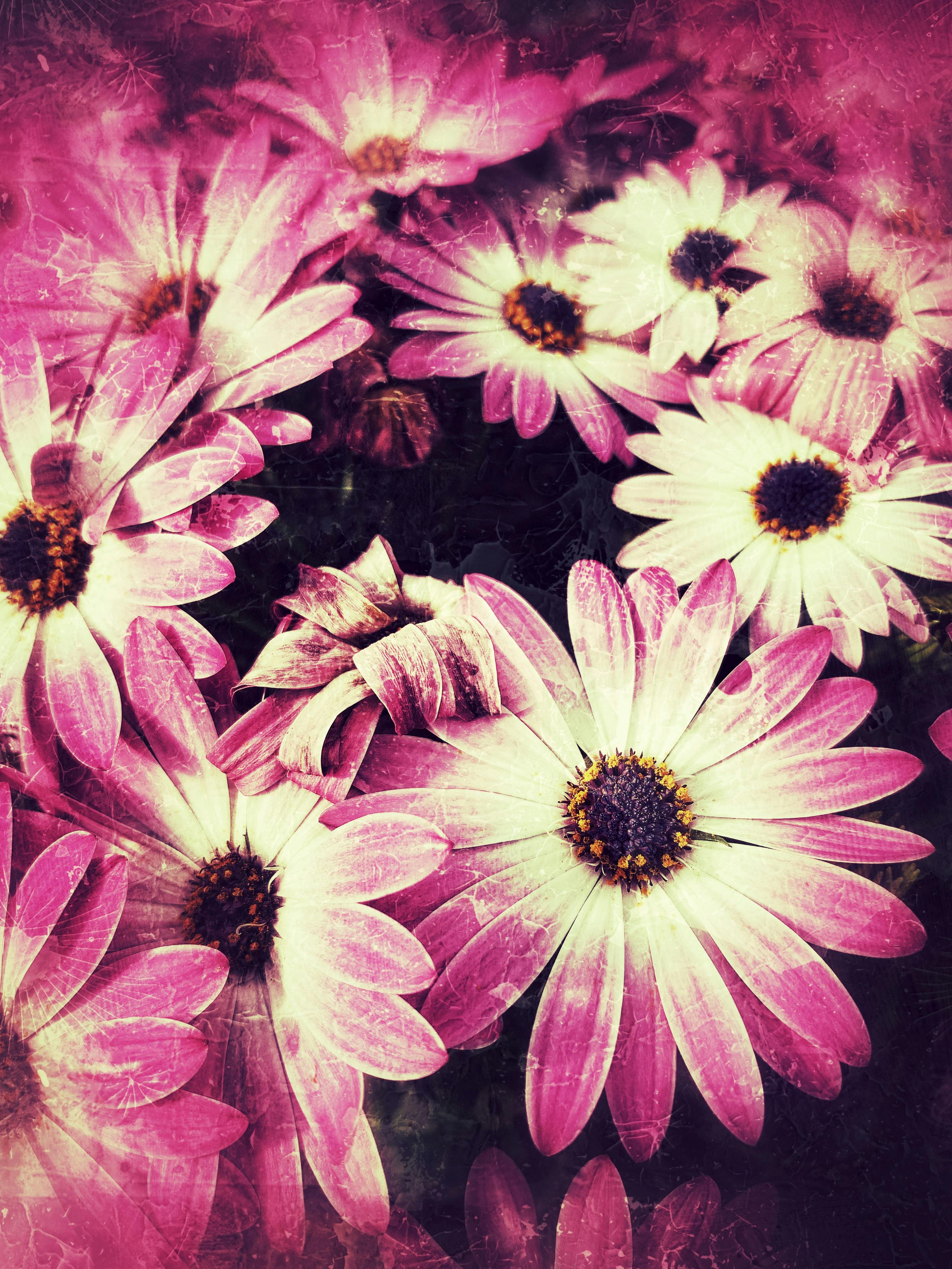 CESAR CASANOVA - Photography