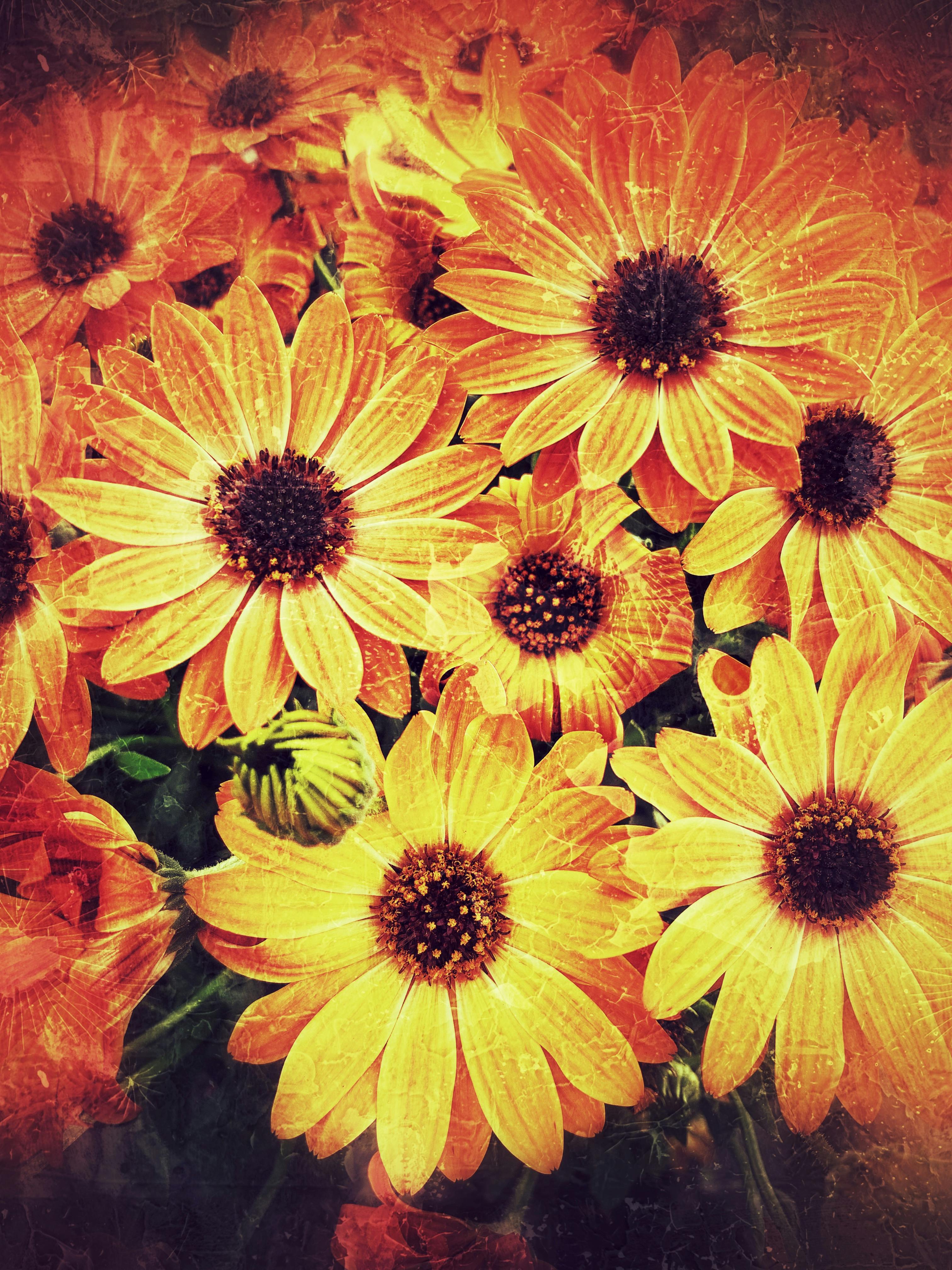 CESAR CASANOVA - Photography