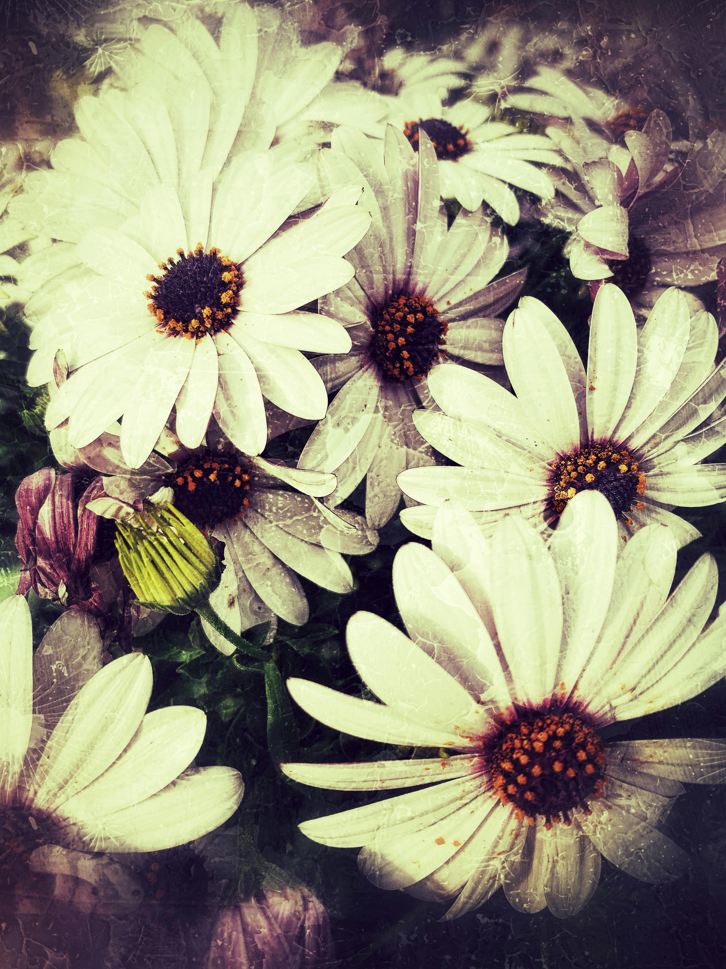 CESAR CASANOVA - Photography