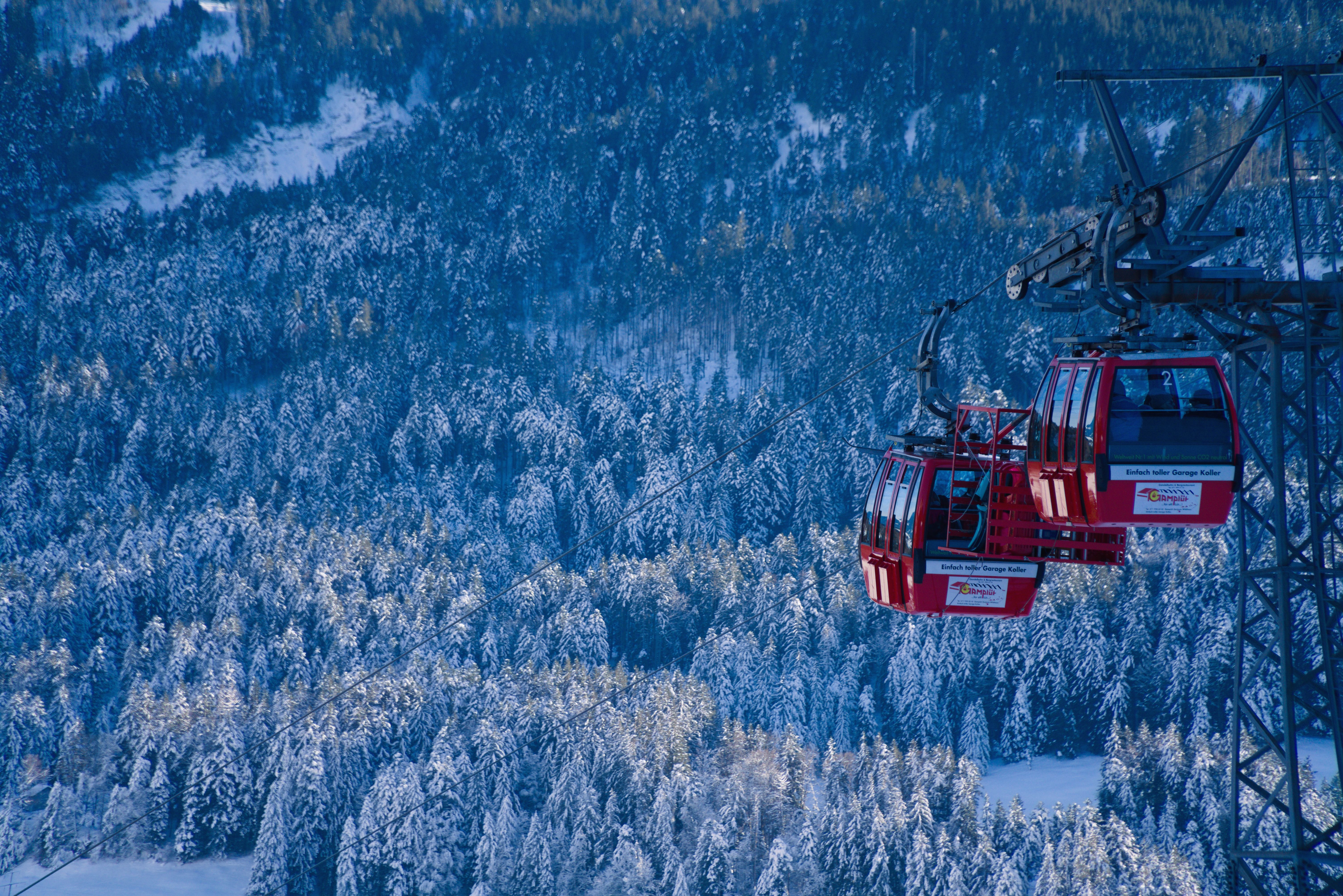 Gondola Lift over Forest · Free Stock Photo