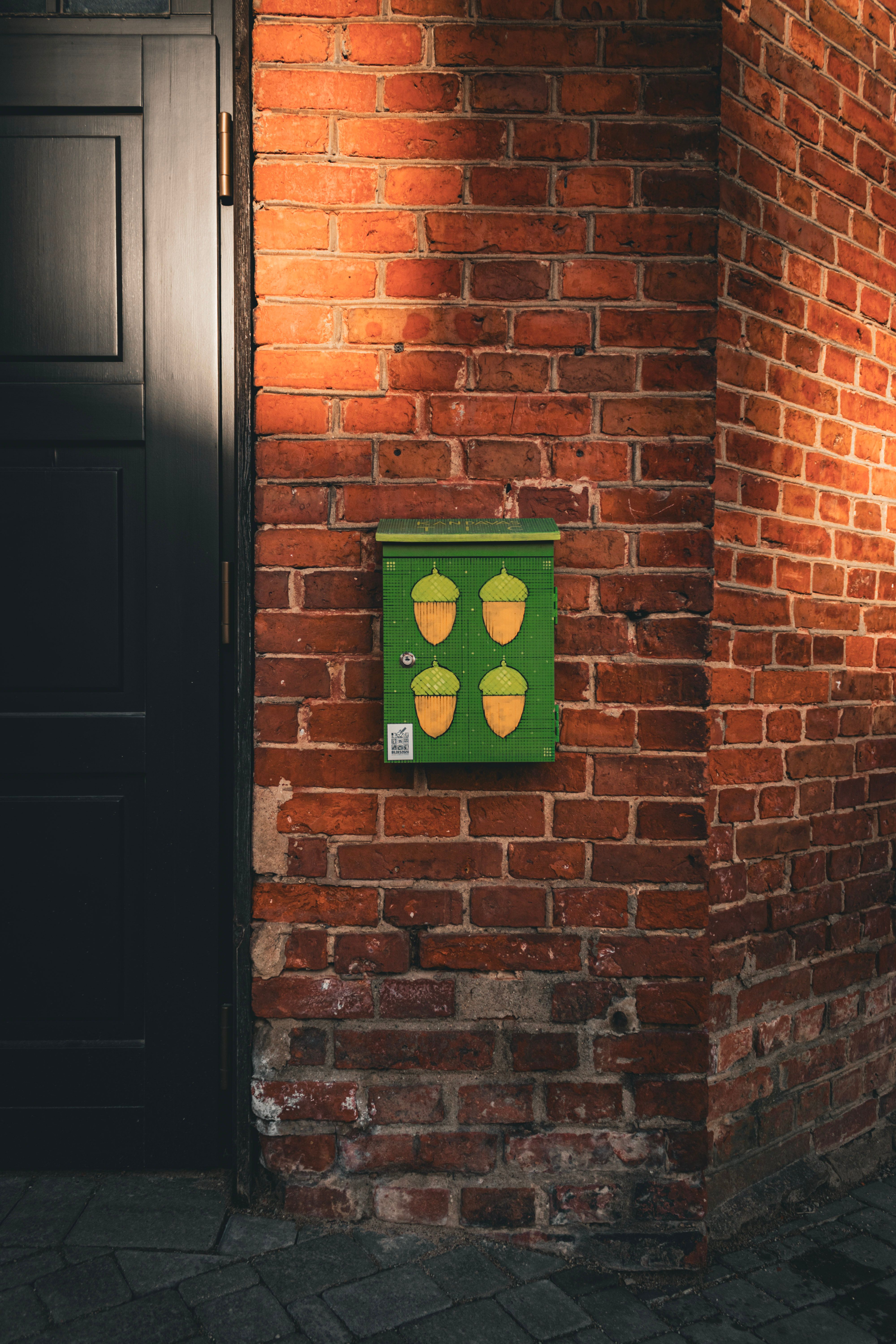 Painting of Acorns on Mailbox · Free Stock Photo