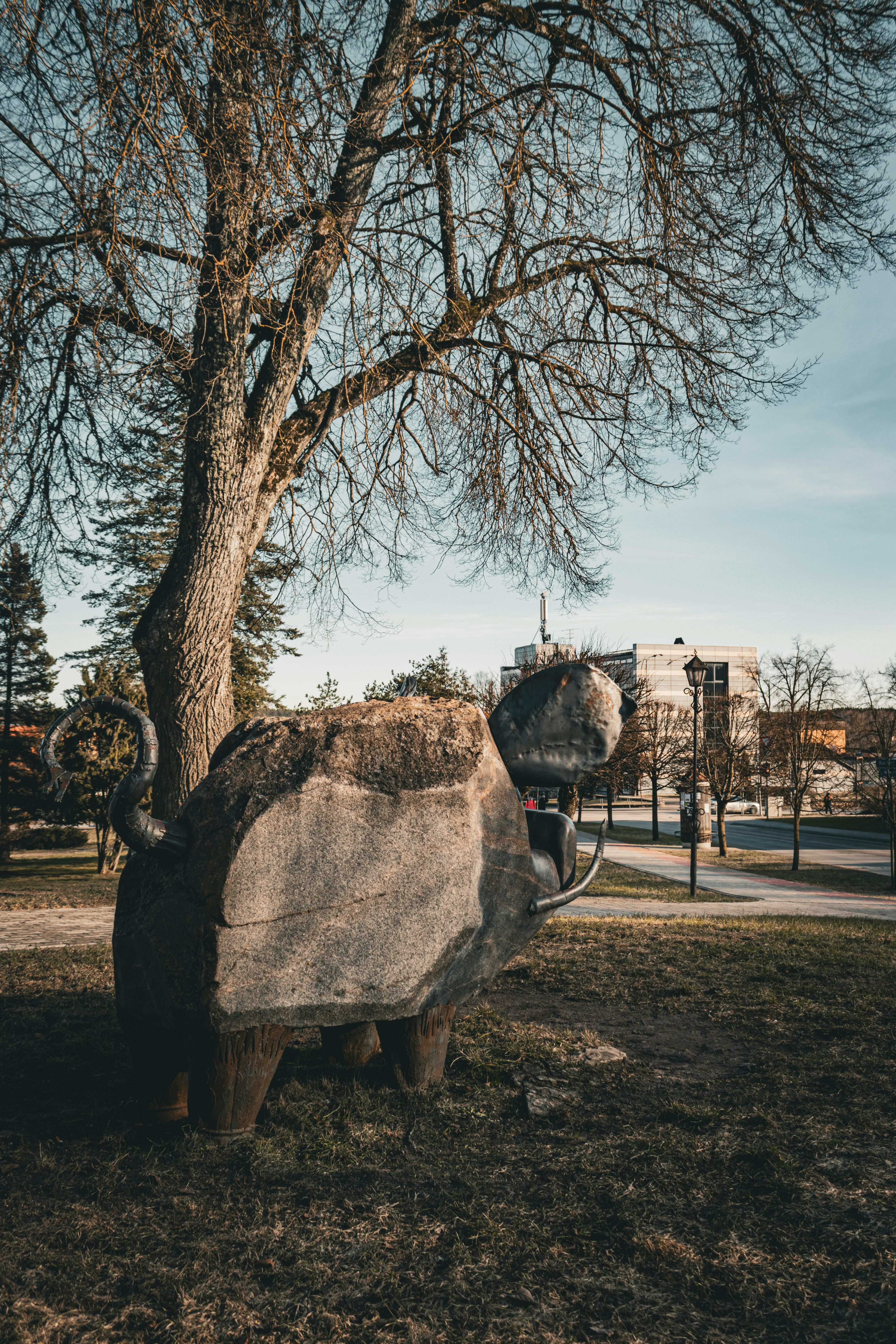 Modern Stone Sculpture of Animal in Park · Free Stock Photo