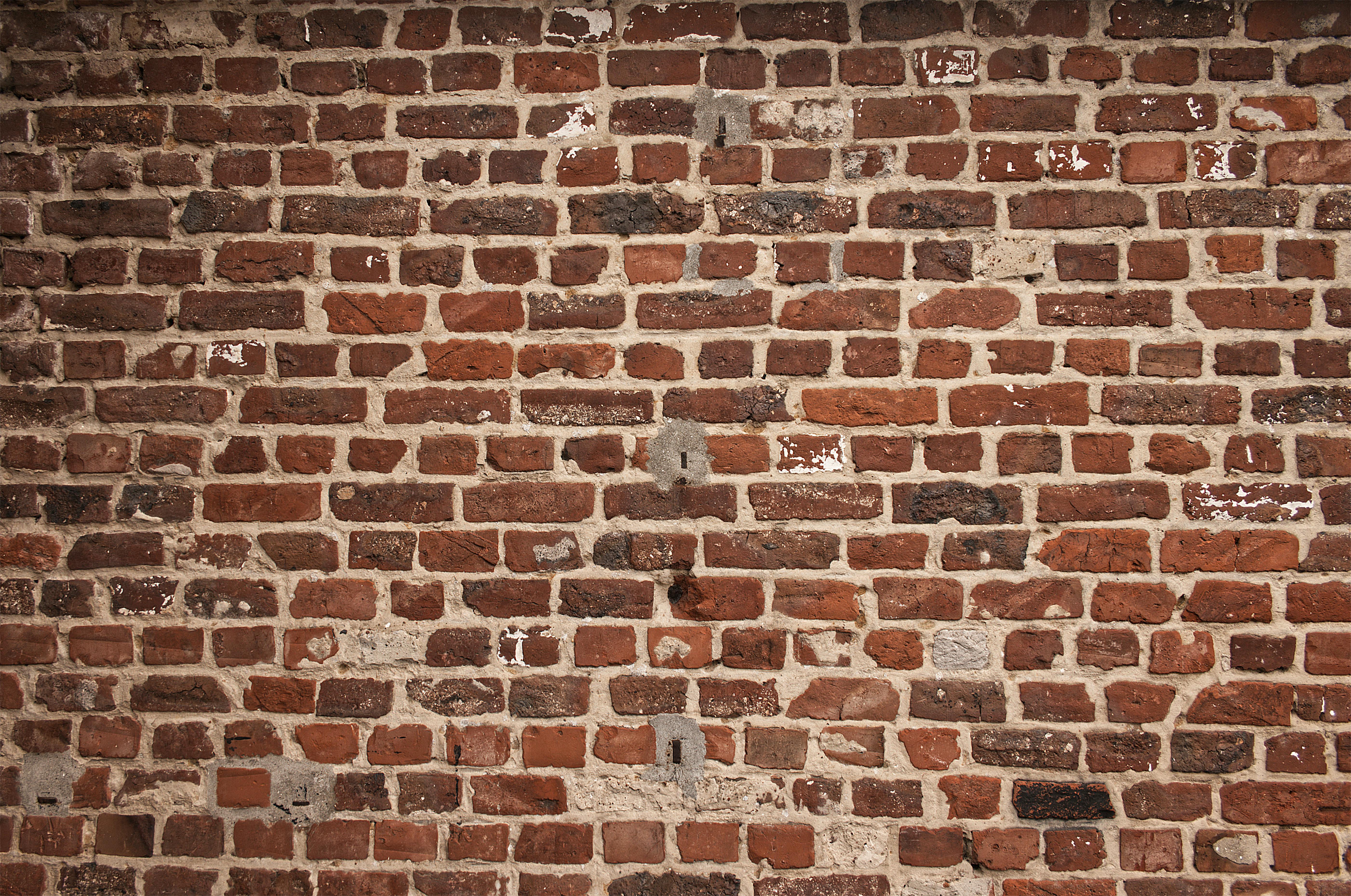 Free stock photo of brick wall, high resolution