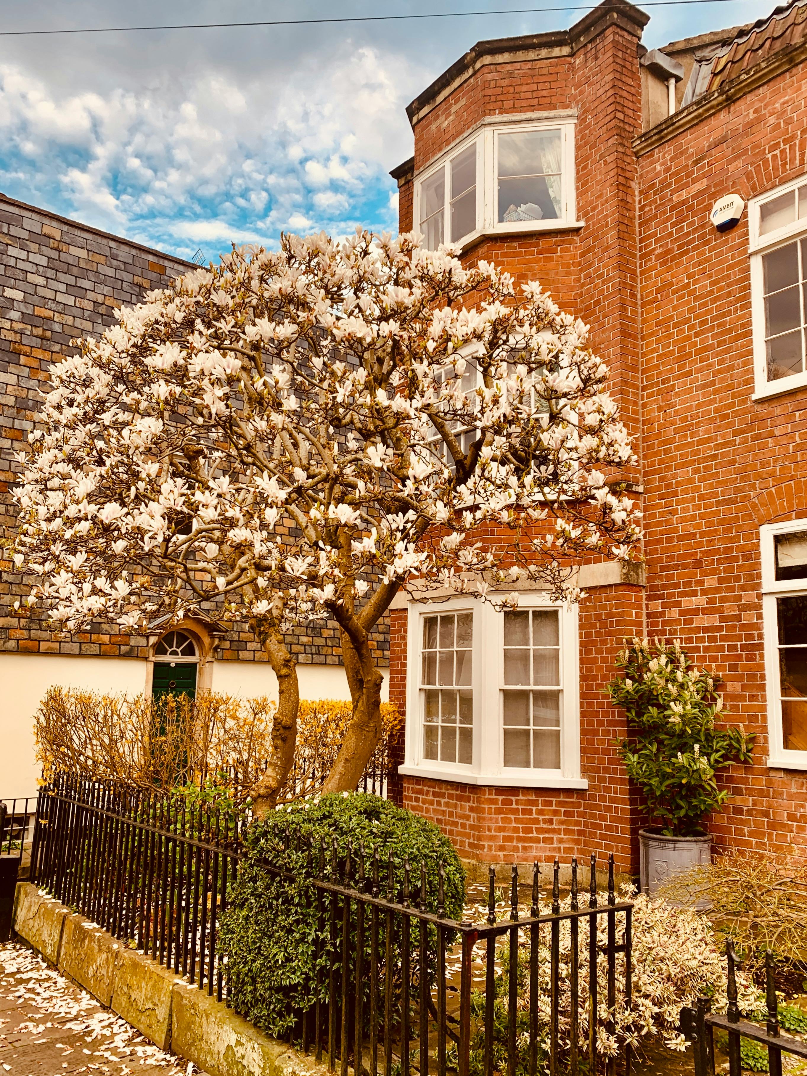 Stephen Girling - Photographie