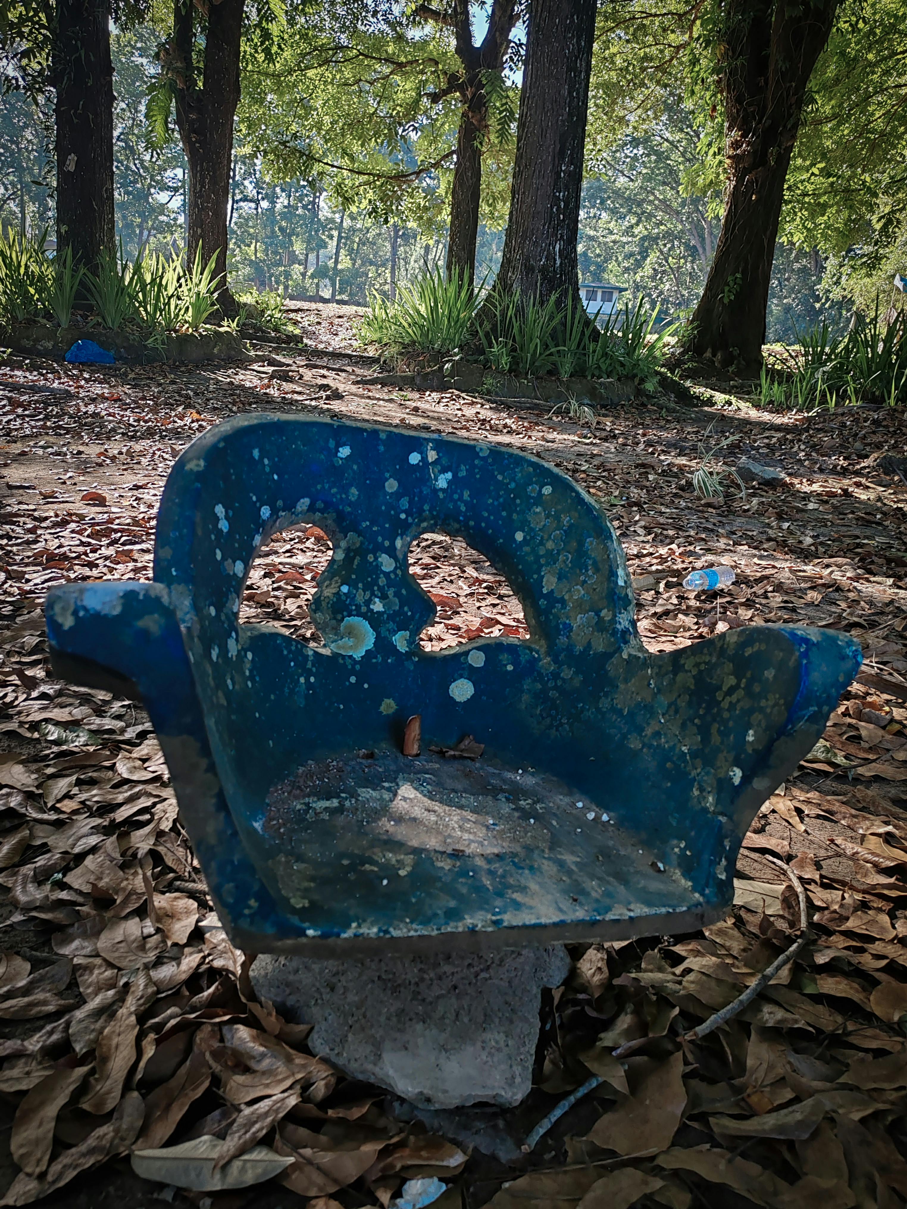 A.M. Dodo - Photography