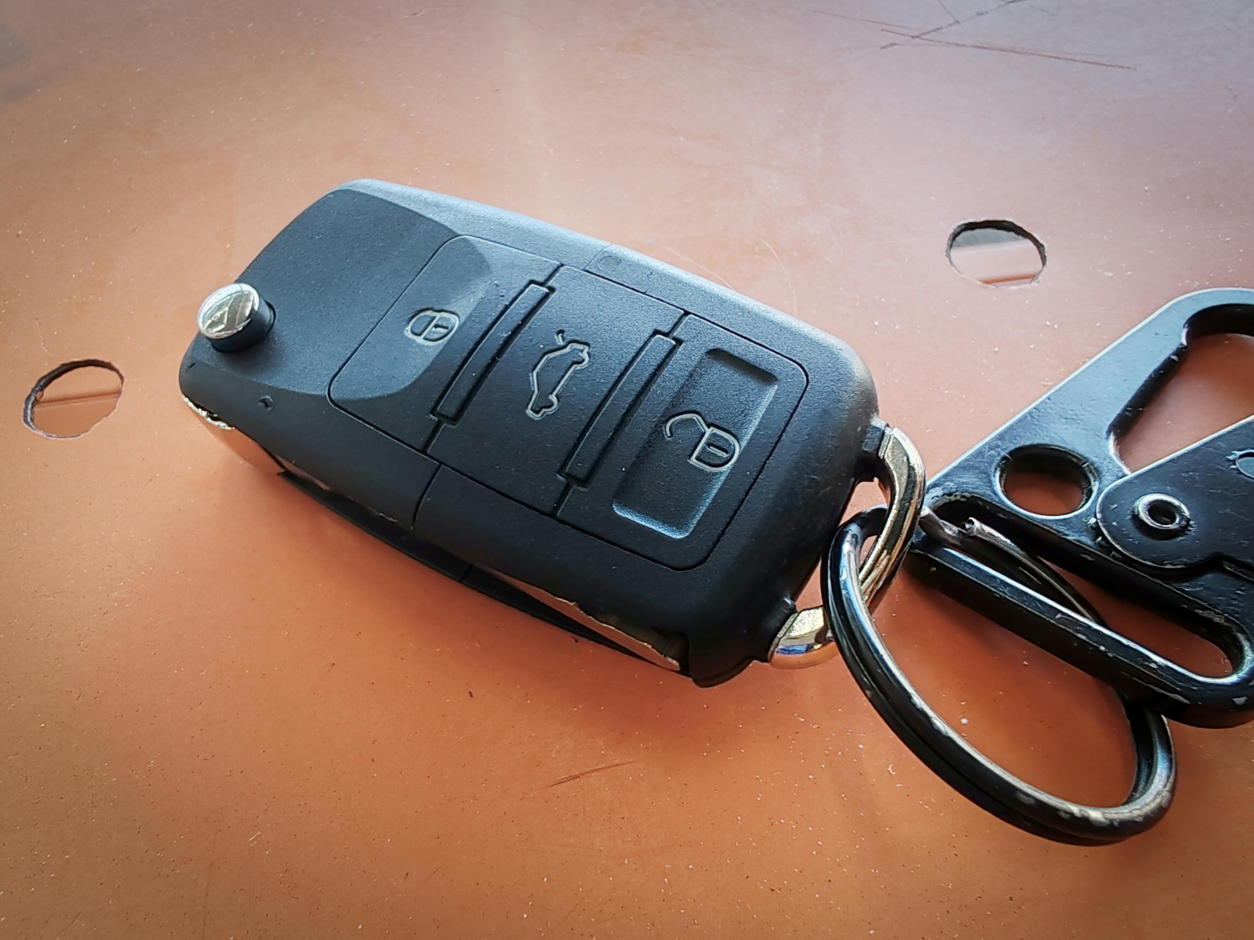 A.M. Dodo - Photography