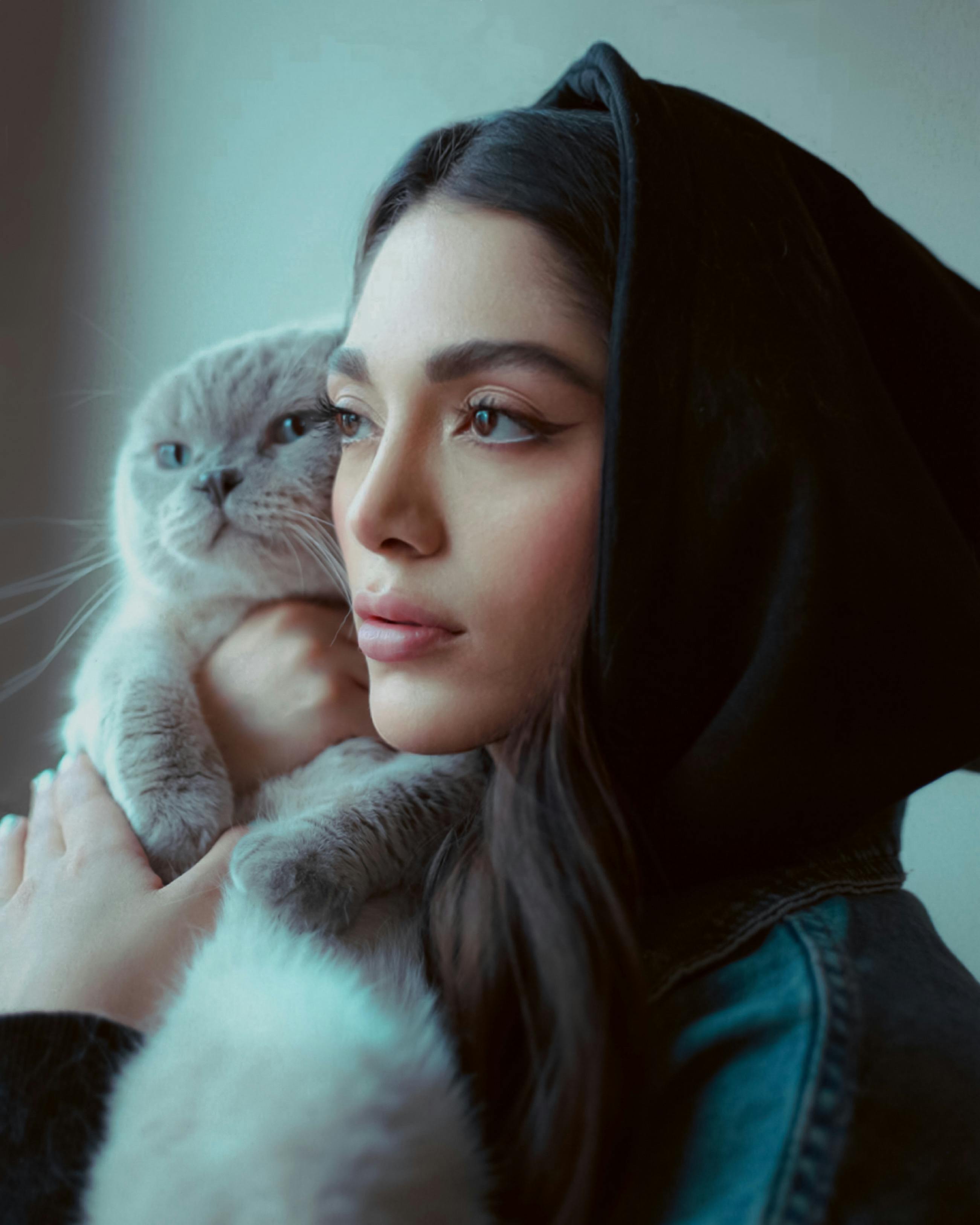 Purple Cat Desktop Photos, Download The BEST Free Purple Cat Desktop ...