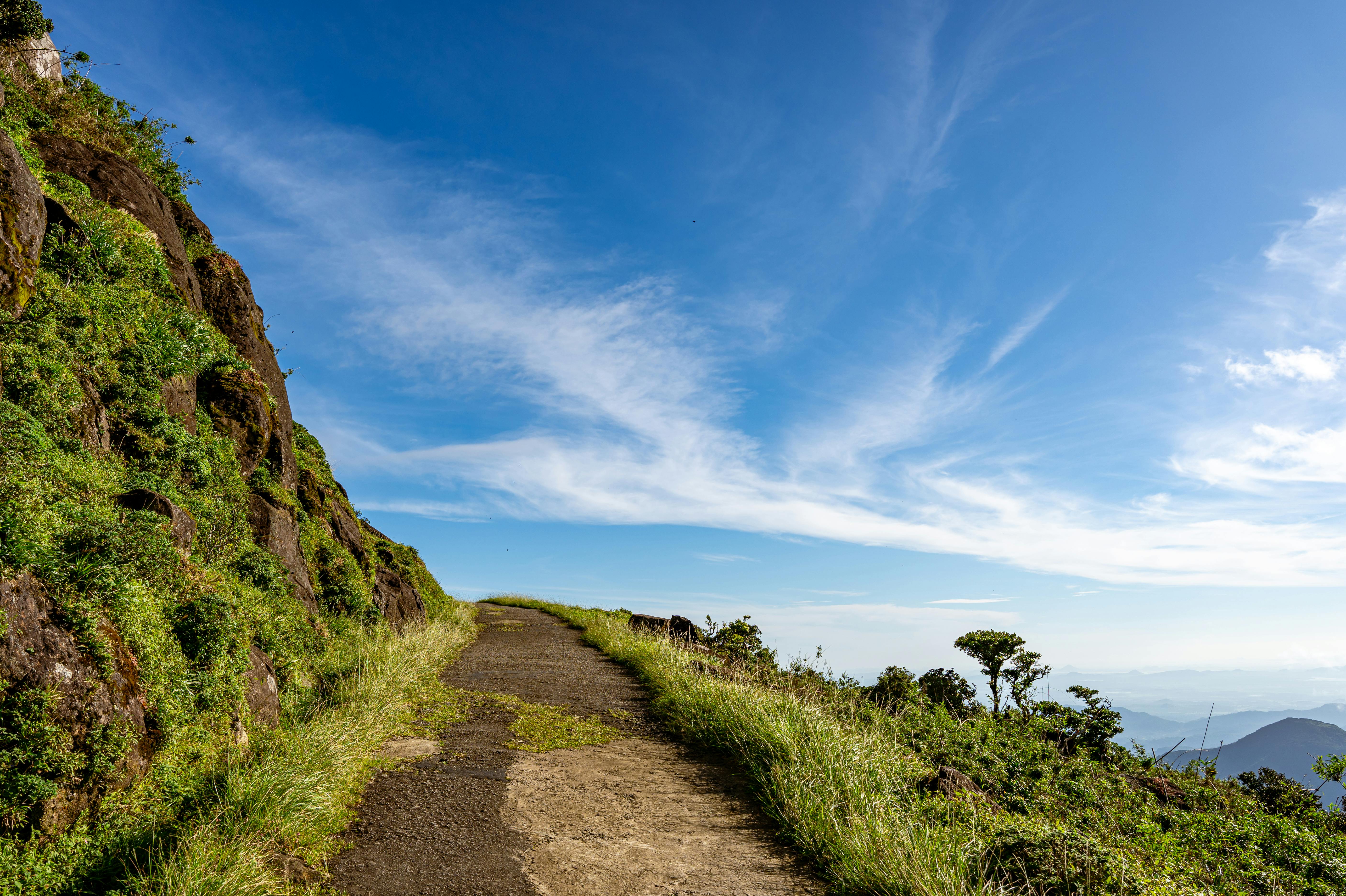 Microsoft Edge Photos, Download The BEST Free Microsoft Edge Stock ...