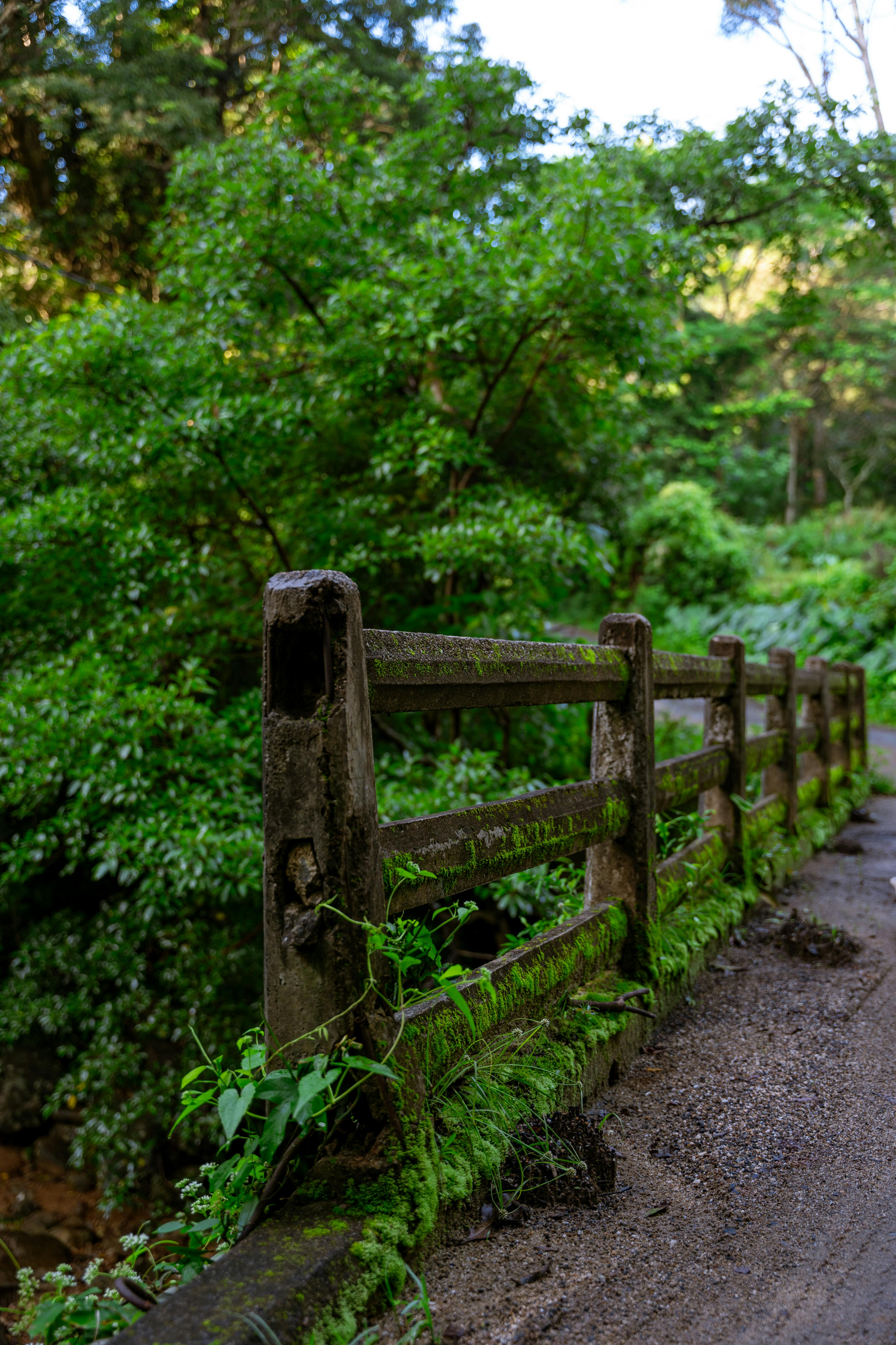 Railing of Rural Bridge · Free Stock Photo