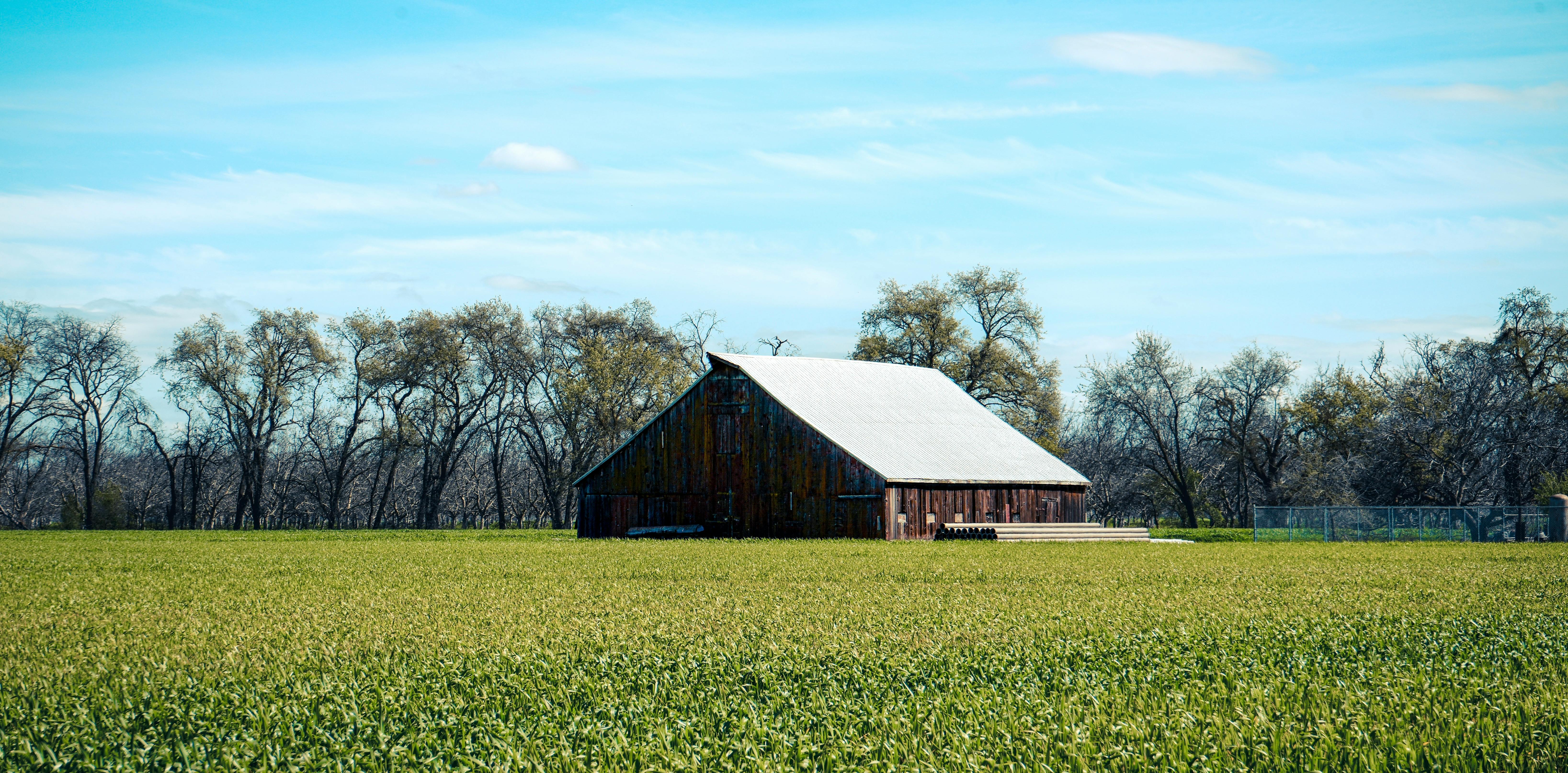 Wooden Barn in Countryside · Free Stock Photo