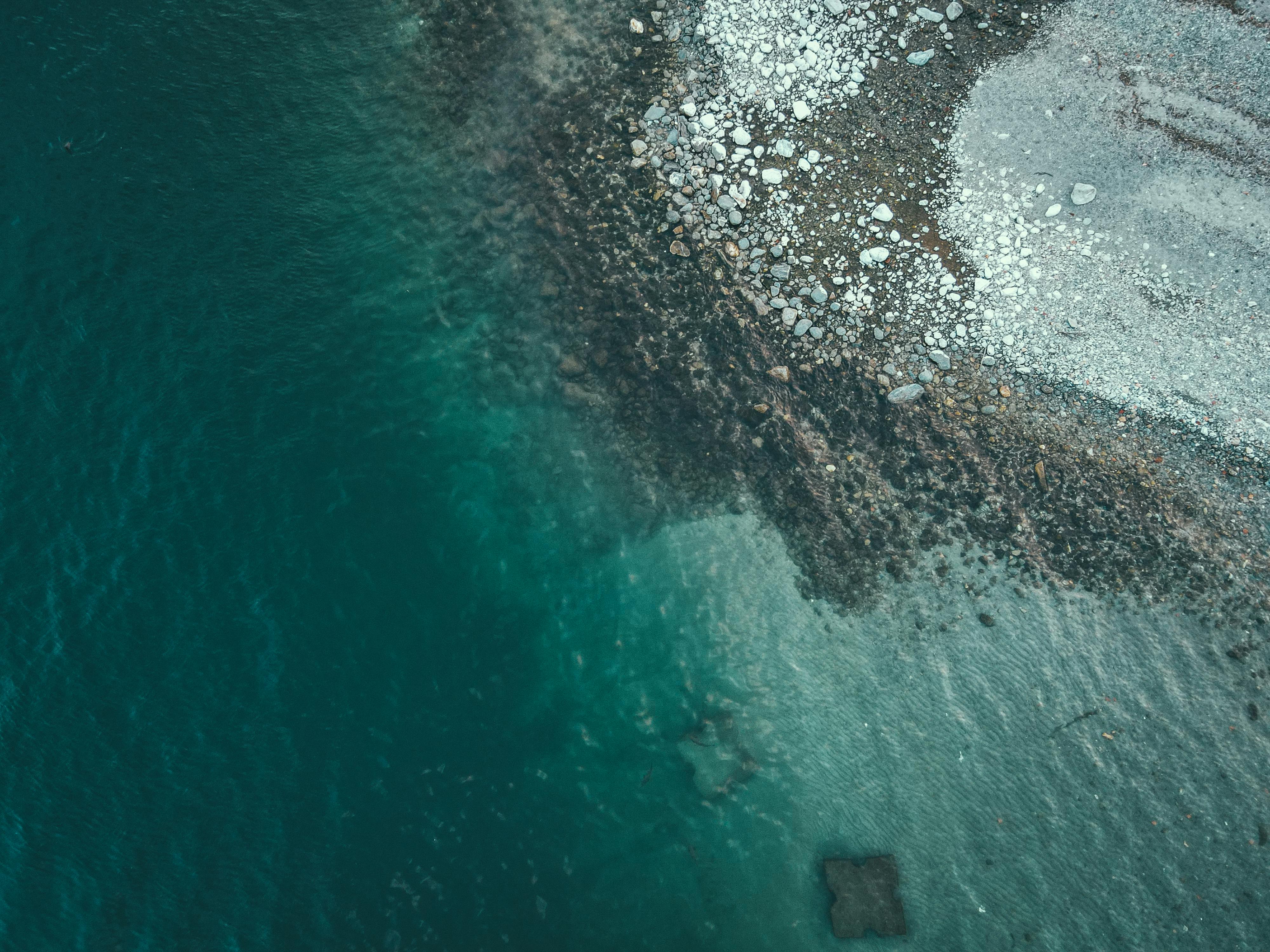 Birds Eye View of Sea Shore · Free Stock Photo