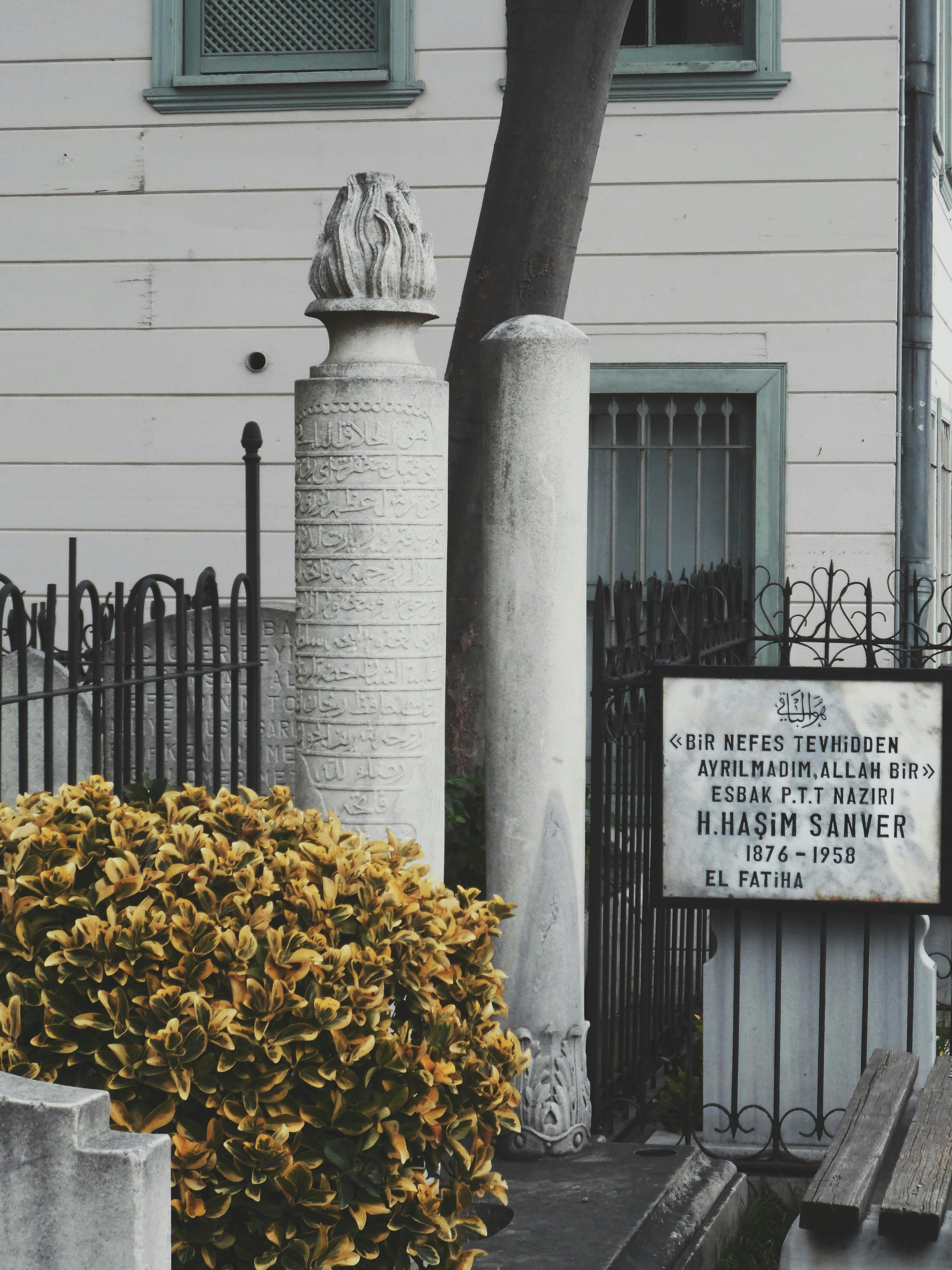 Signal Flower Photos, Download The BEST Free Signal Flower Stock Photos ...