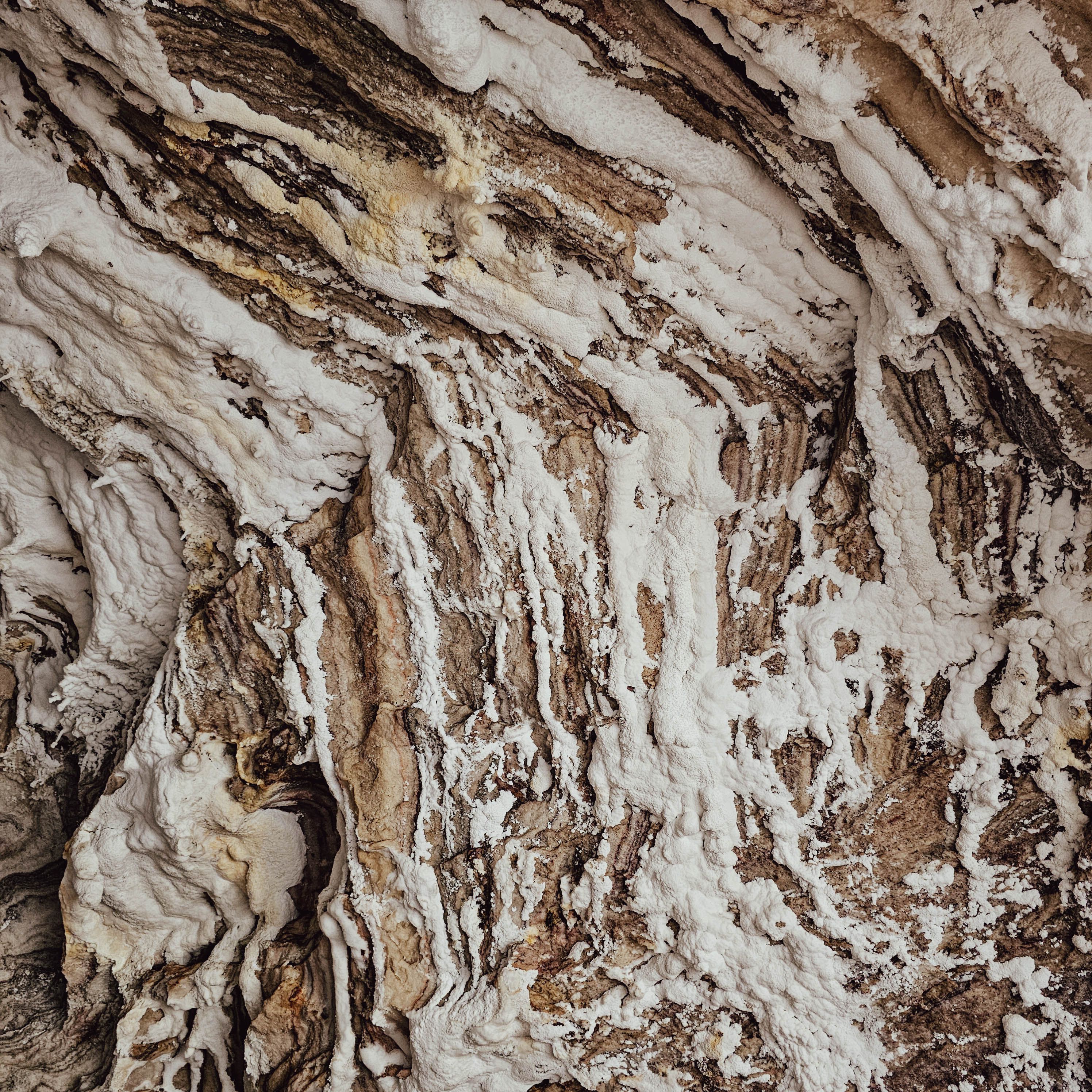 White Surface of Rock · Free Stock Photo