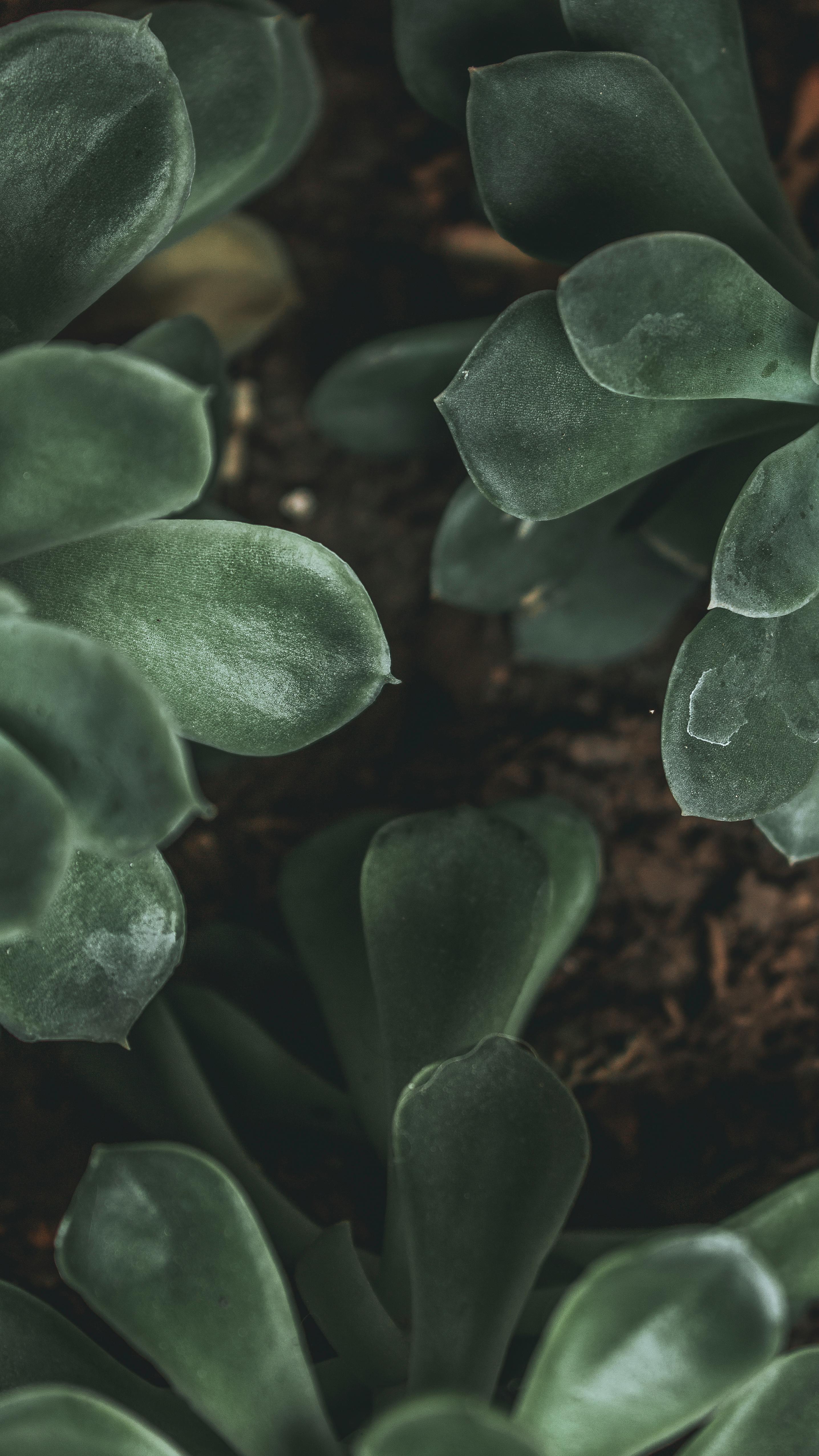 Rapid wave on stormy sea behind ridge in twilight · Free Stock Photo
