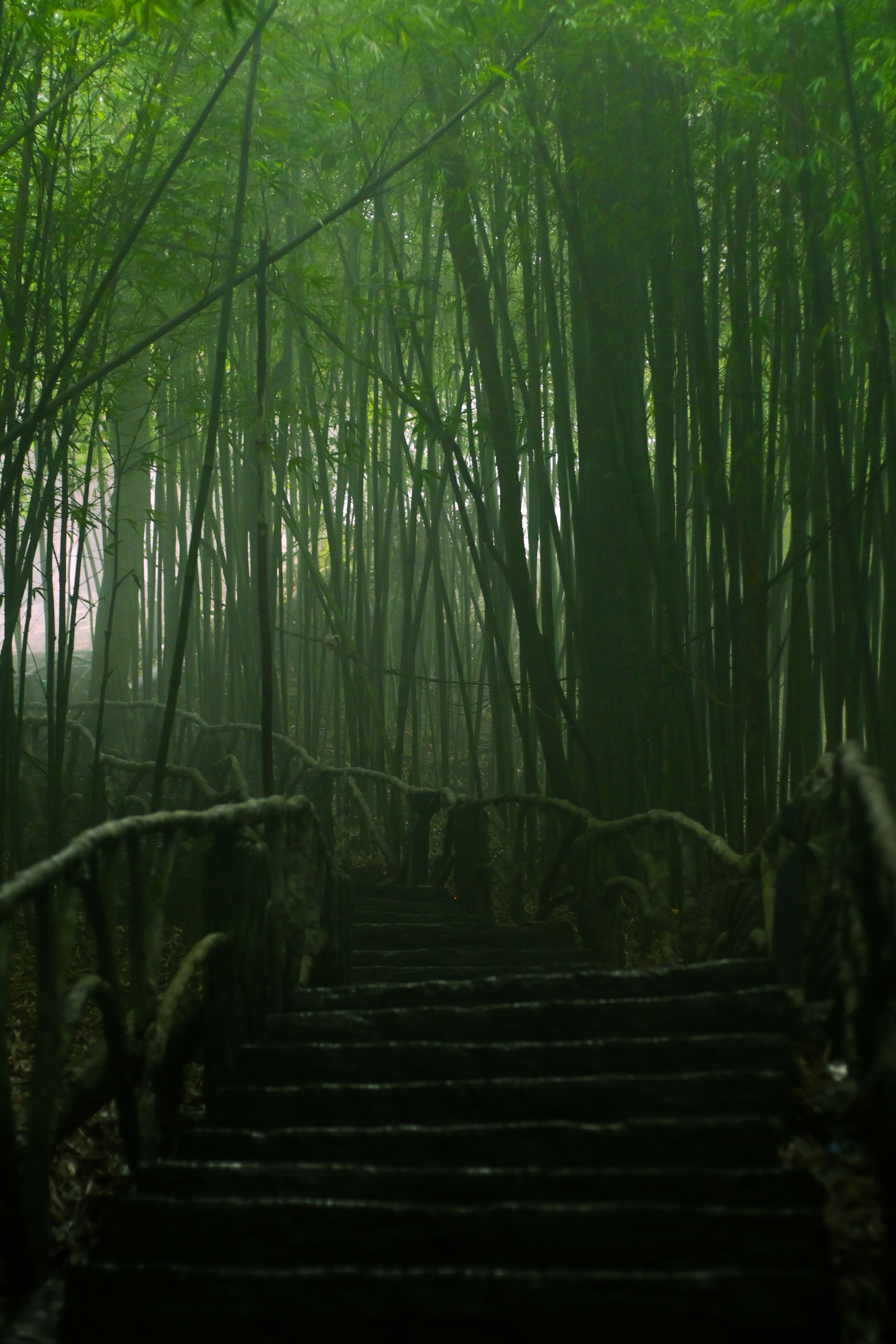 Green Gateway Photos, Download The BEST Free Green Gateway Stock Photos ...