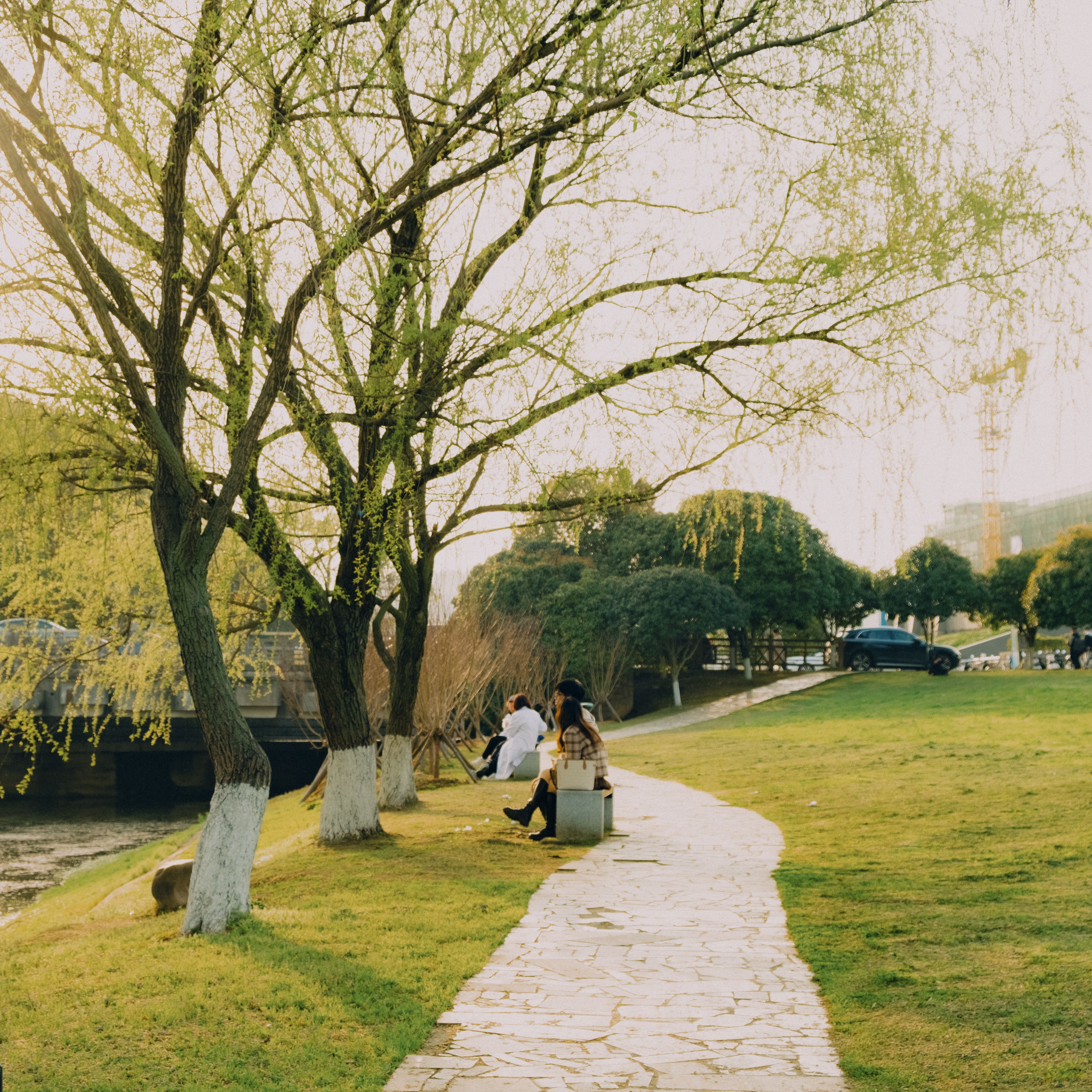 People Relaxing in Park · Free Stock Photo