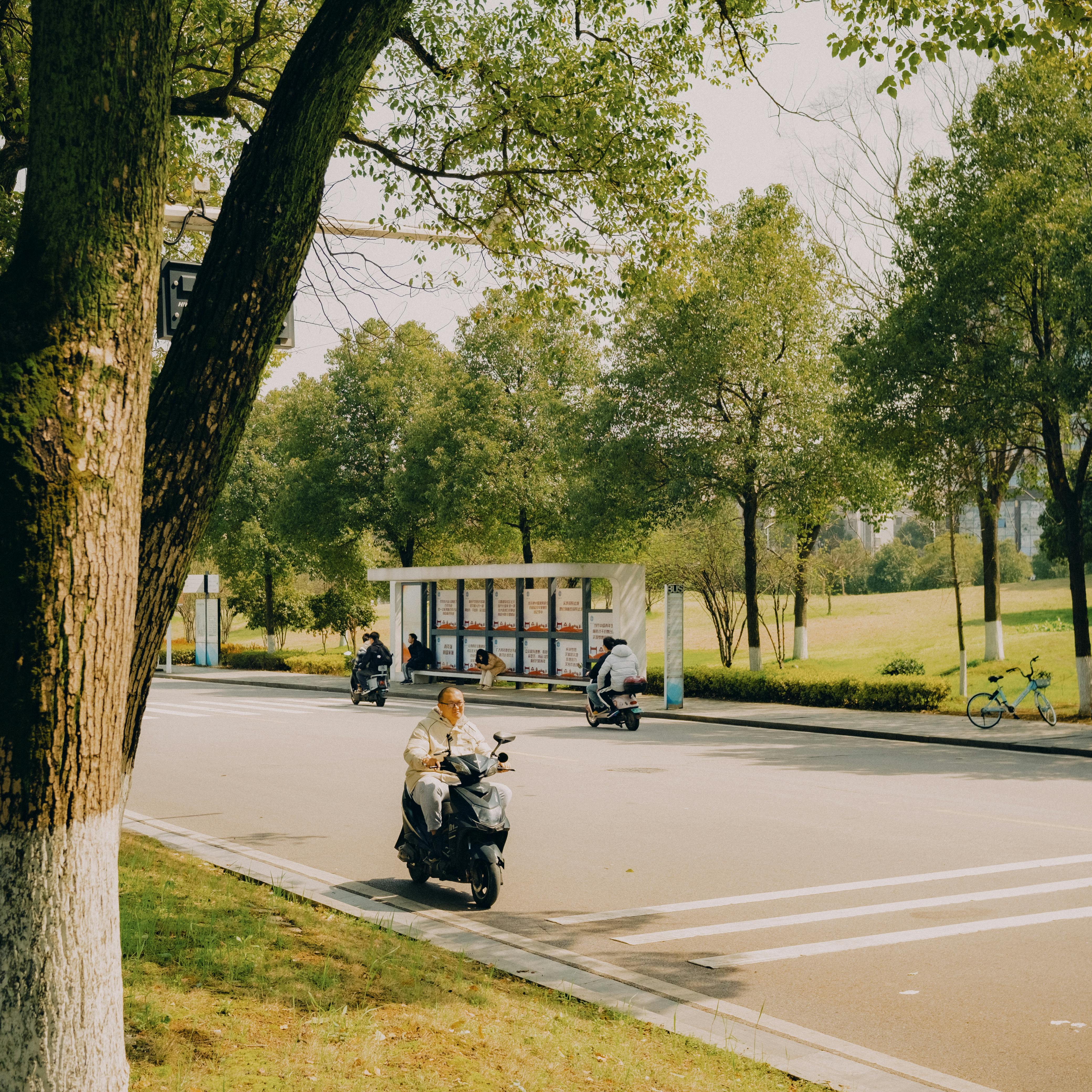 Motor Scooter Riding on Street by Park · Free Stock Photo
