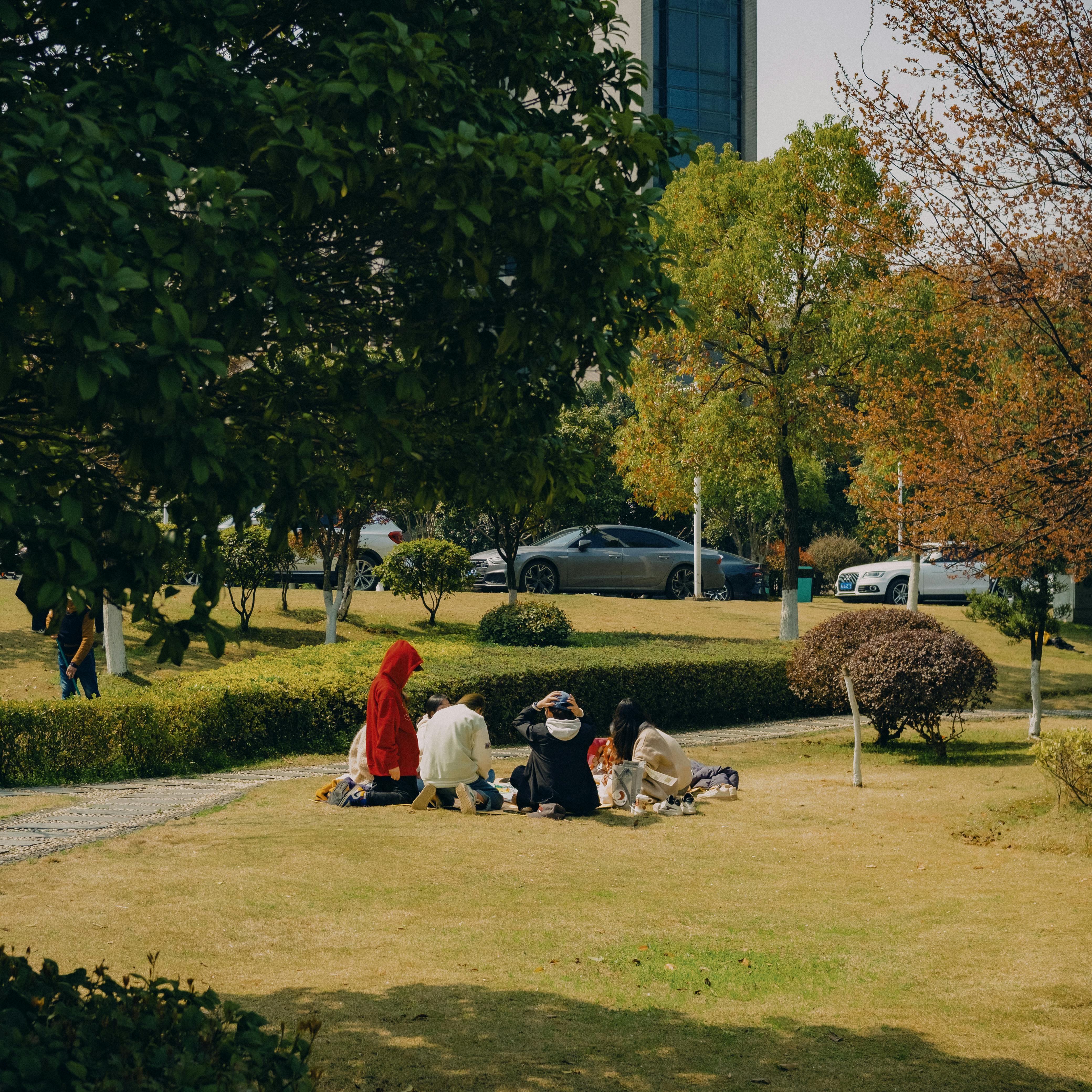 Group Relaxing in Park · Free Stock Photo